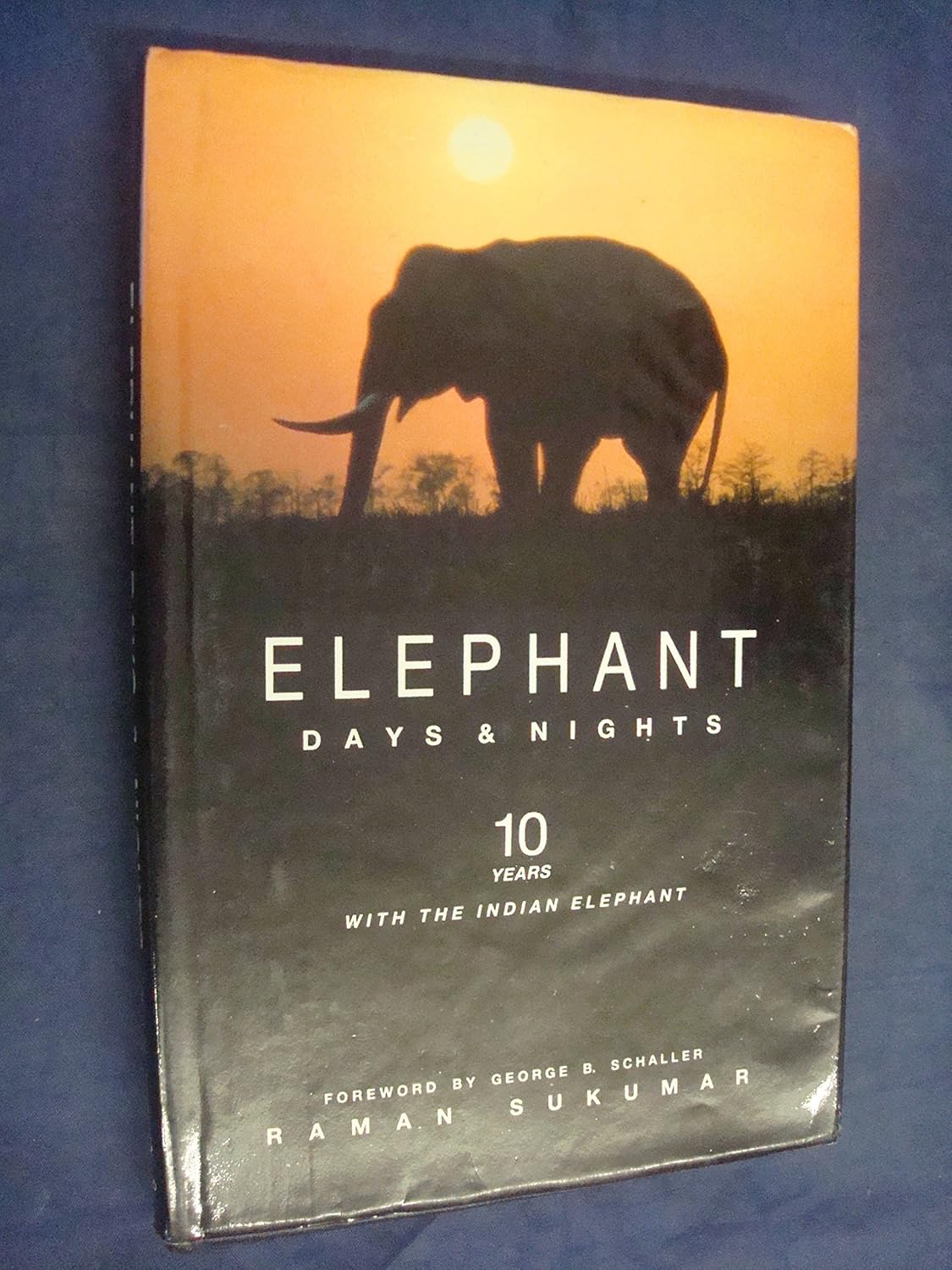Elephant Days and Nights: Ten Years with the Indian Elephant: Sukumar ...