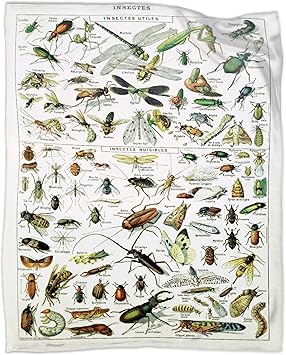 Amazon.com: Art Insects Identification Reference Blanket Gifts for ...