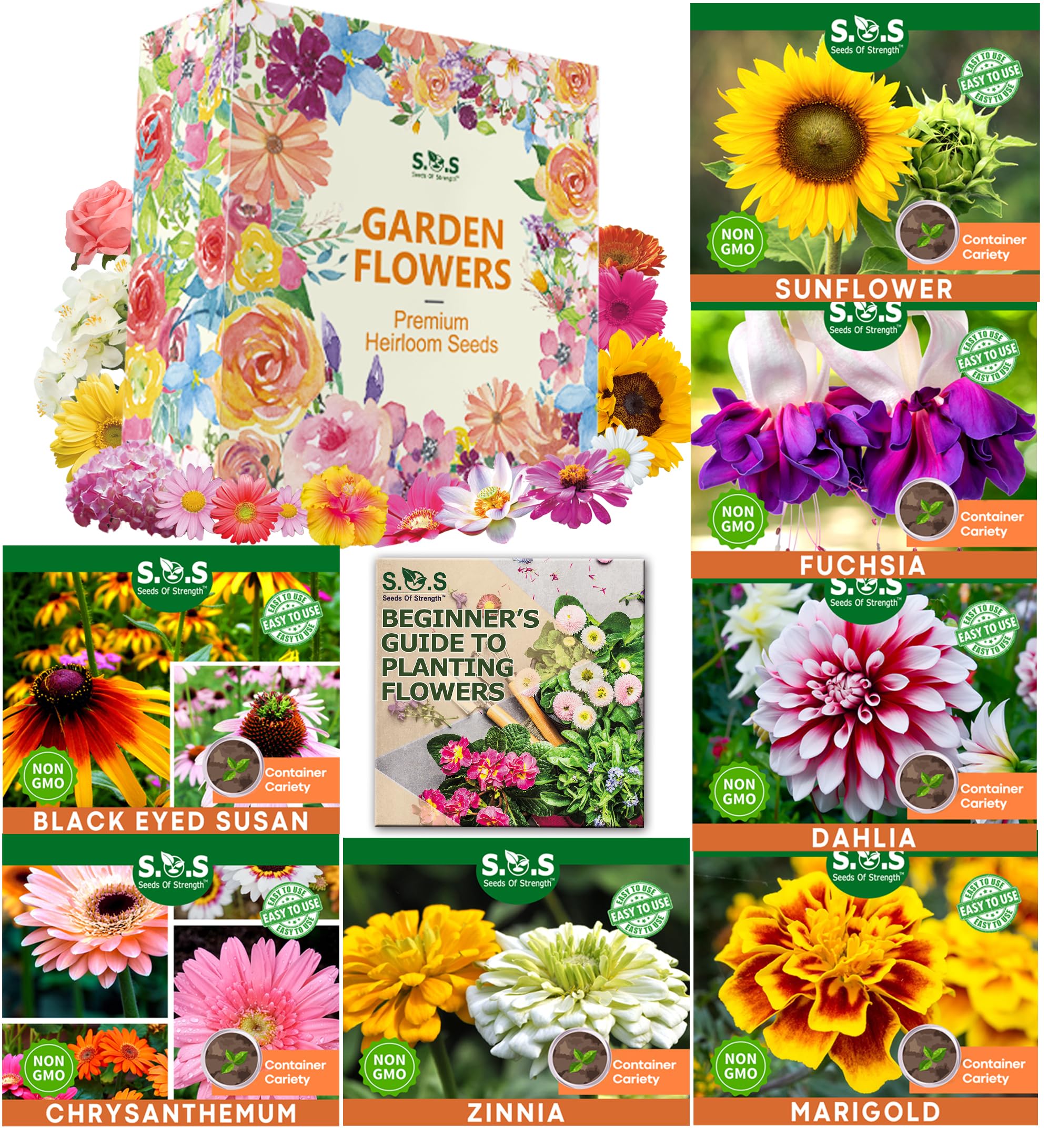 Amazon.com : Premium Wildflower Seed Mix - 7 Variety Flower Seed Pack ...