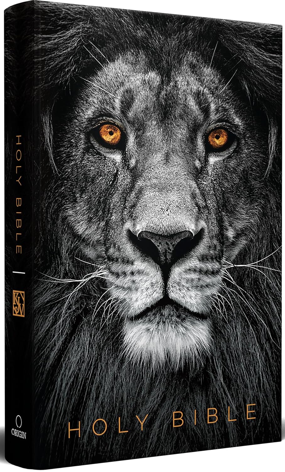 KJV Holy Bible, Large Print, Handy Size Format, Hardcover, Lion of ...