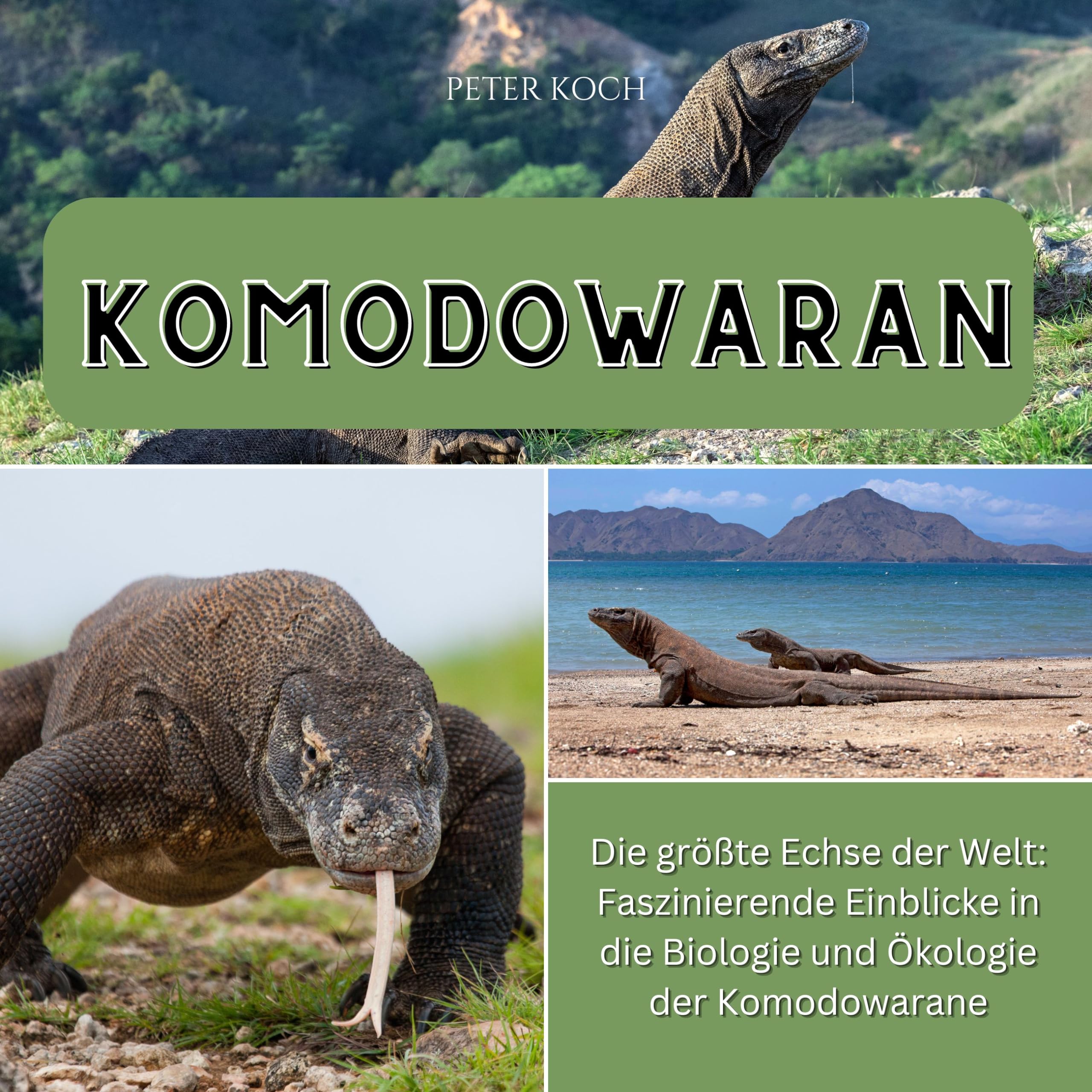 Komodowarane Steckbrief Komodowarane Drachen Im Regenwald