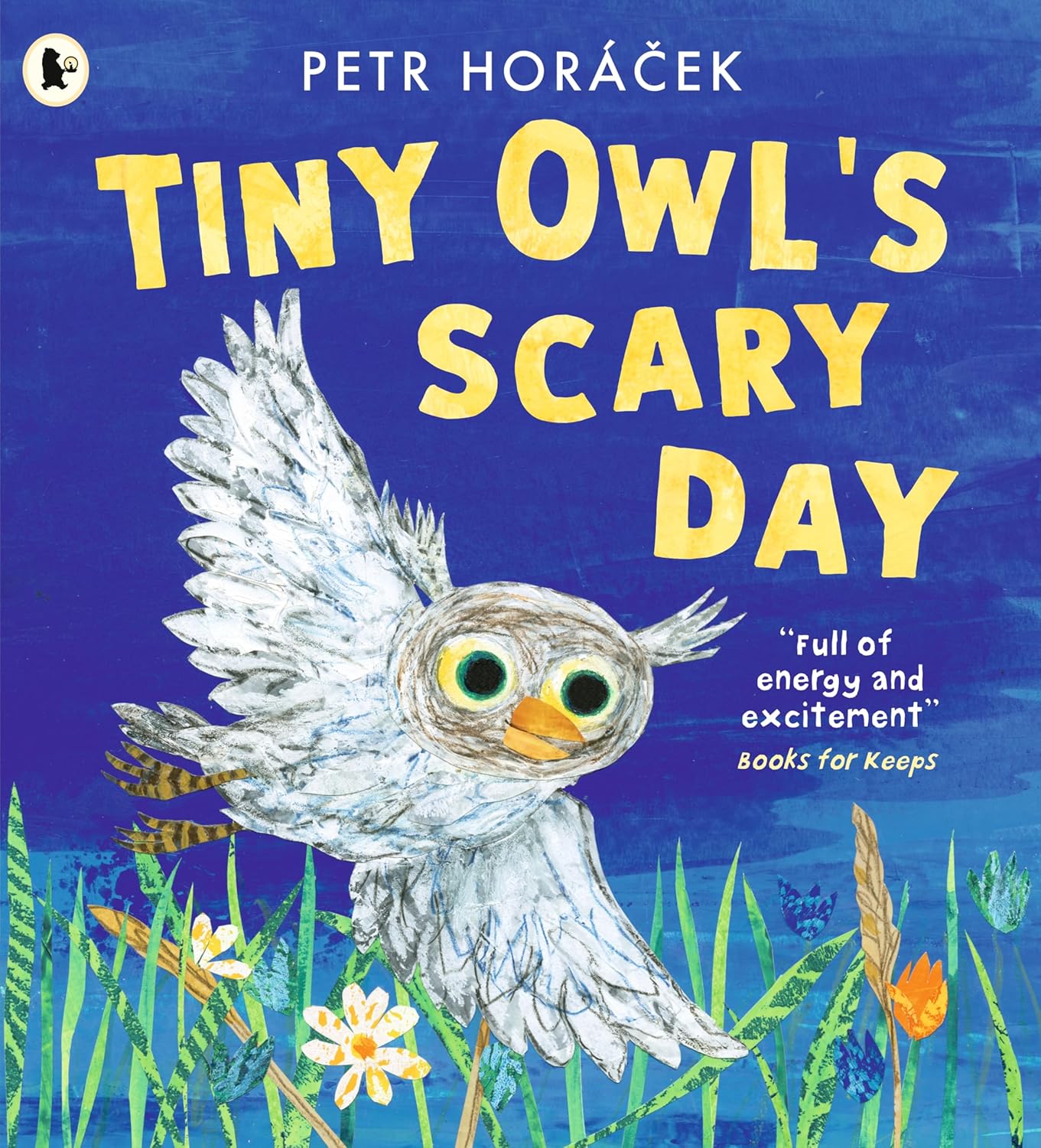 Tiny Owl's Scary Day: Amazon.co.uk: Horácek, Petr, Horácek, Petr: 9781529517194: Books