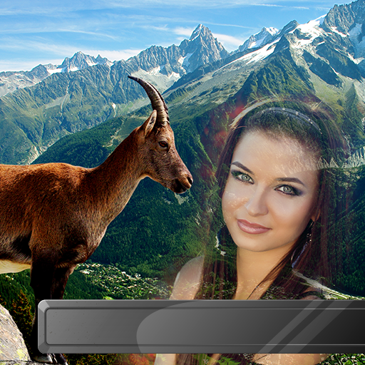 Wild Animals Photo Frames - App on Amazon Appstore