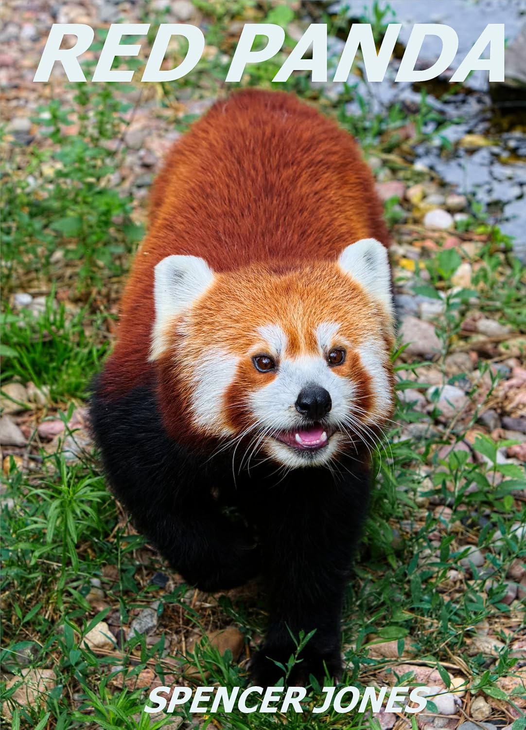 Red Panda: Learn About Red Pandas-Amazing Pictures & Fun Facts (Amazing ...
