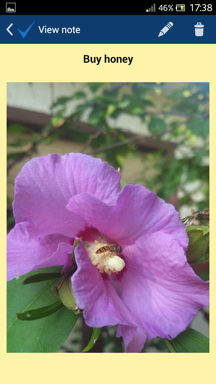 Noted - Color Notes app - App on Amazon Appstore