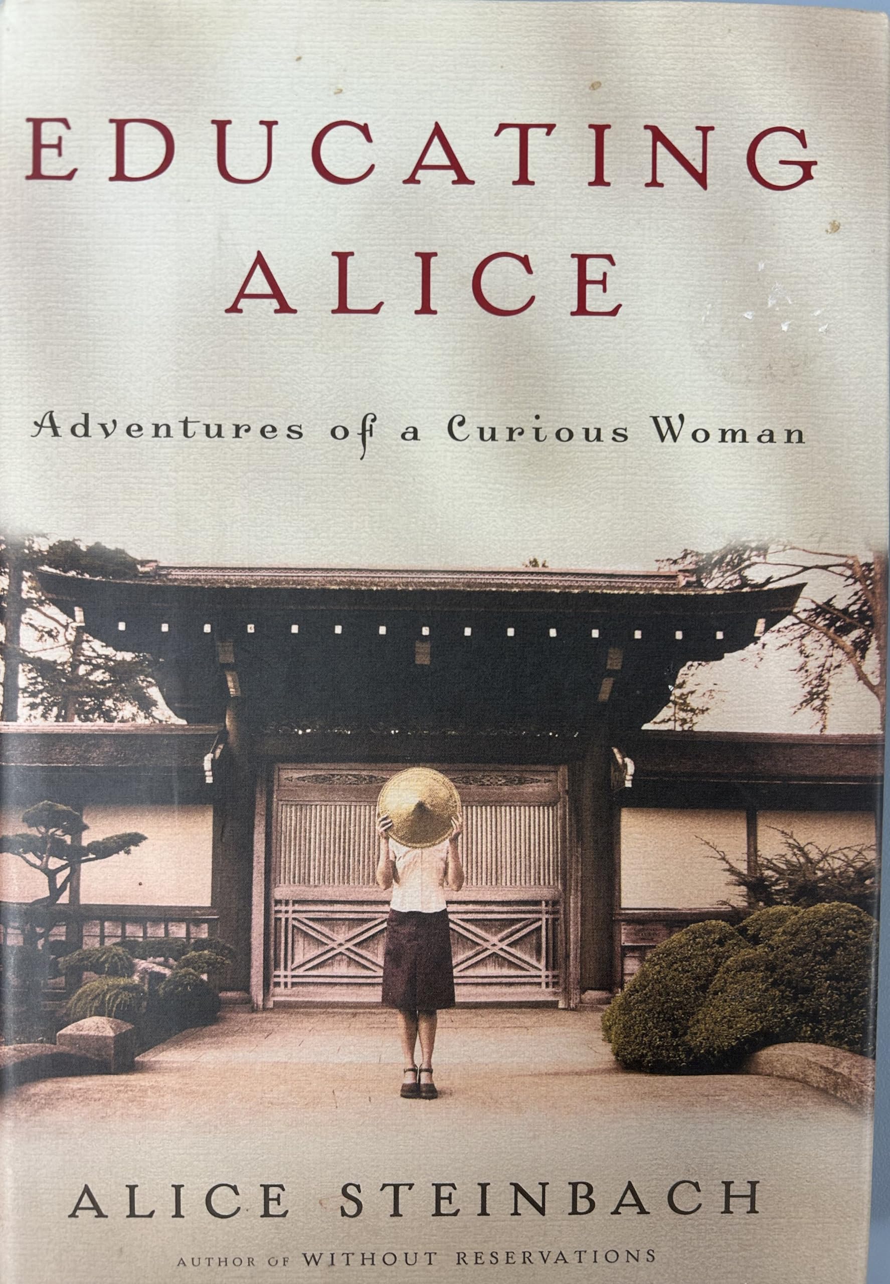 Educating Alice: Adventures of a Curious Woman: Steinbach, Alice ...
