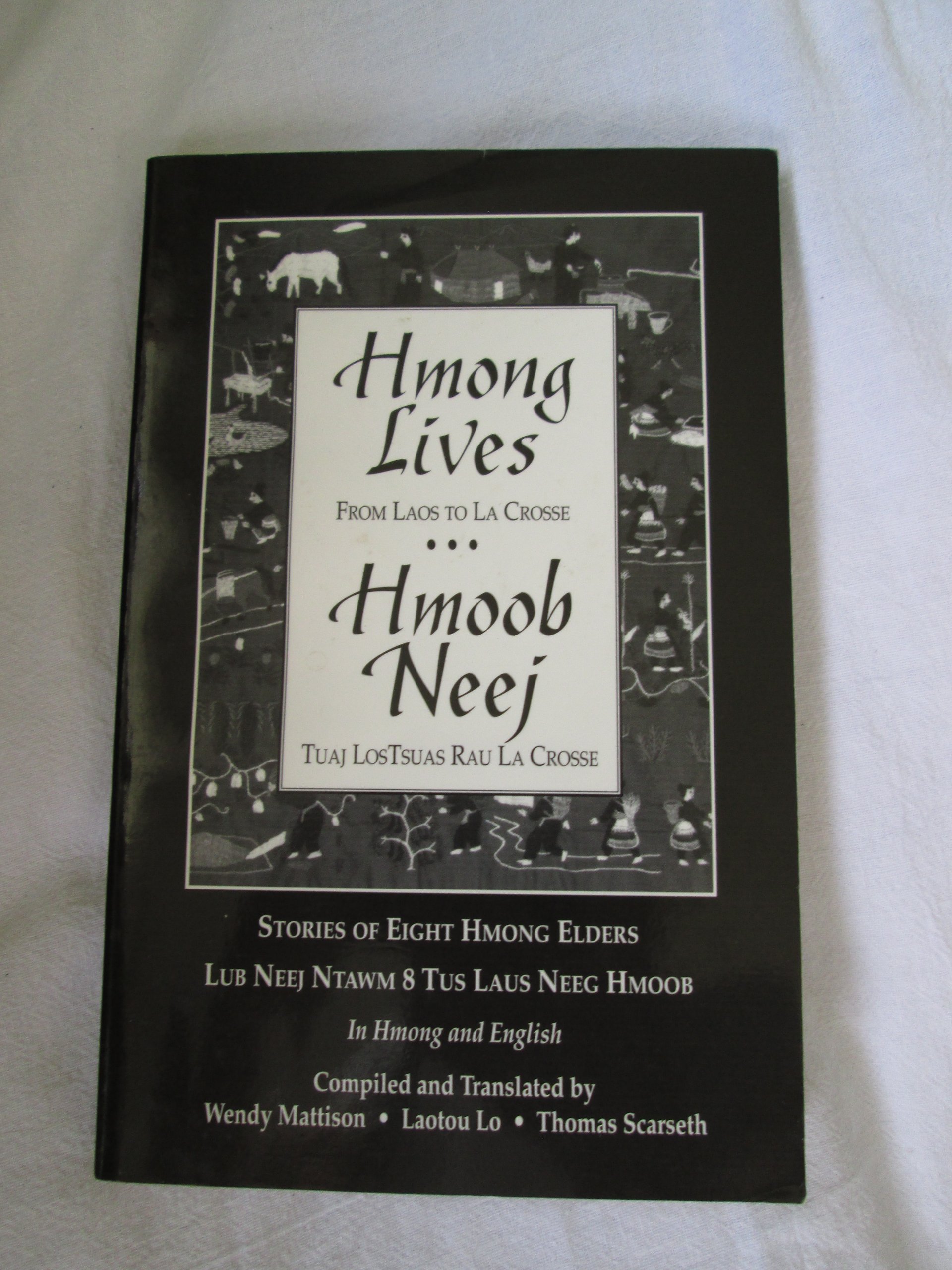 Hmong Lives: From Laos to La Crosse: Harcourt Brace Publishing ...