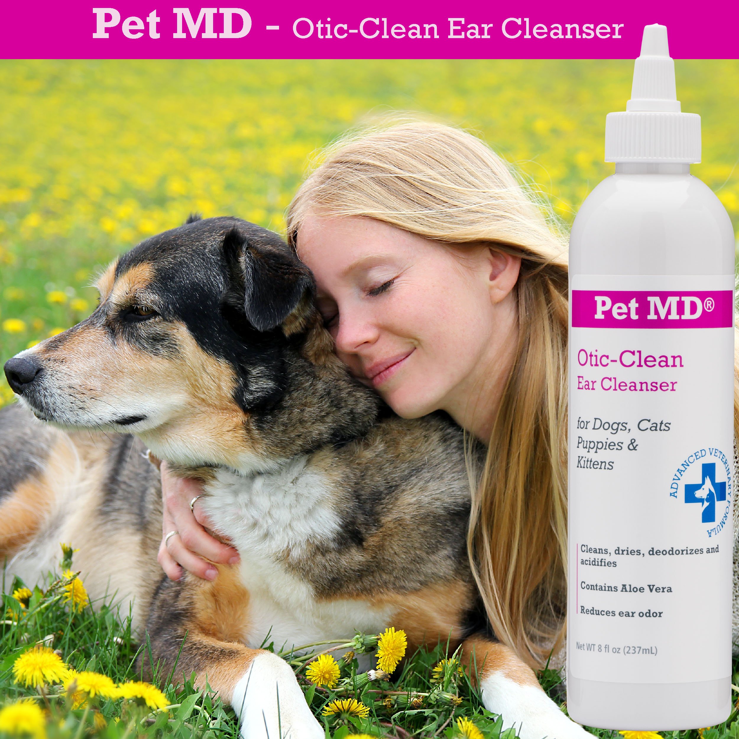How To Properly Clean A Dogs Ears