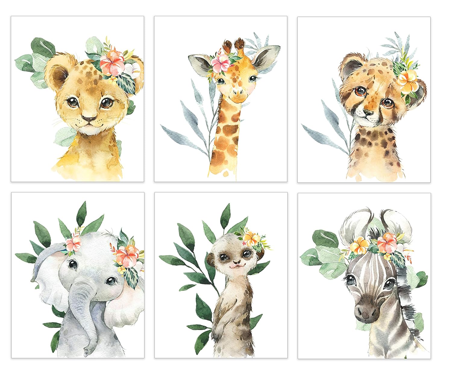Amazon Safari Nursery Girl Safari Animal Pictures Wall Art 