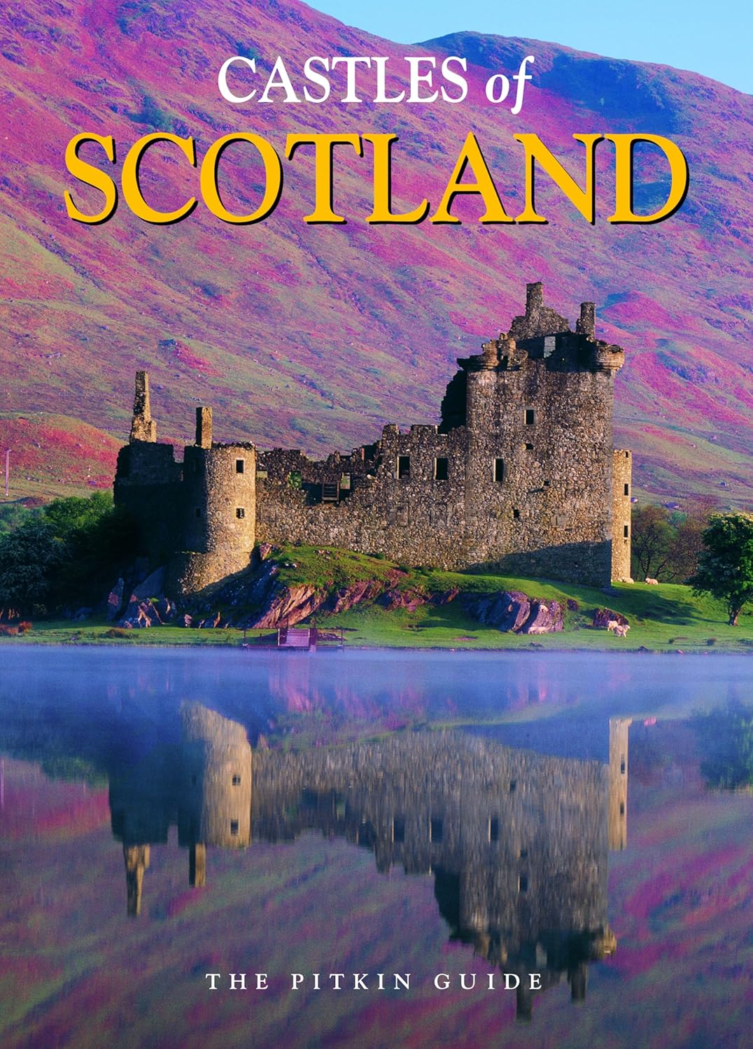 Castles of Scotland: Cook, David: 9781841650463: Amazon.com: Books