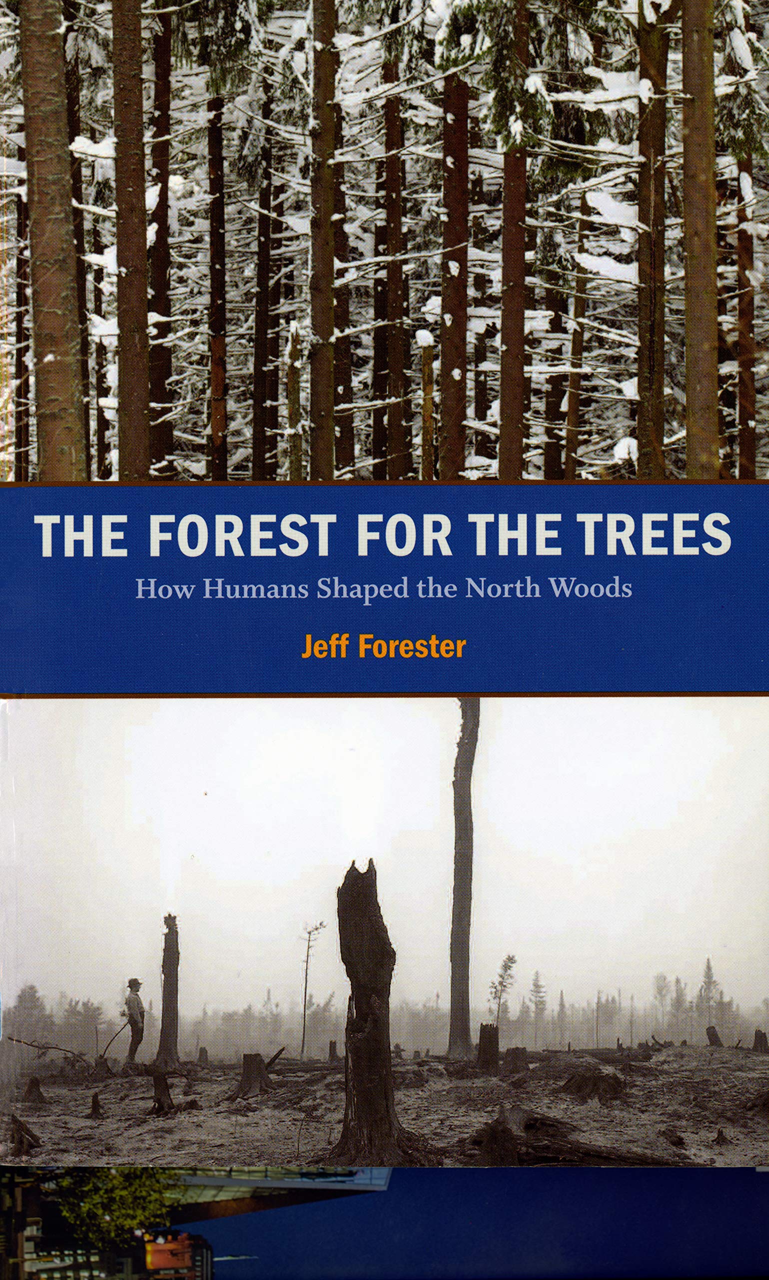 Amazon.com: The Forest for the Trees: How Humans Shaped the North Woods ...