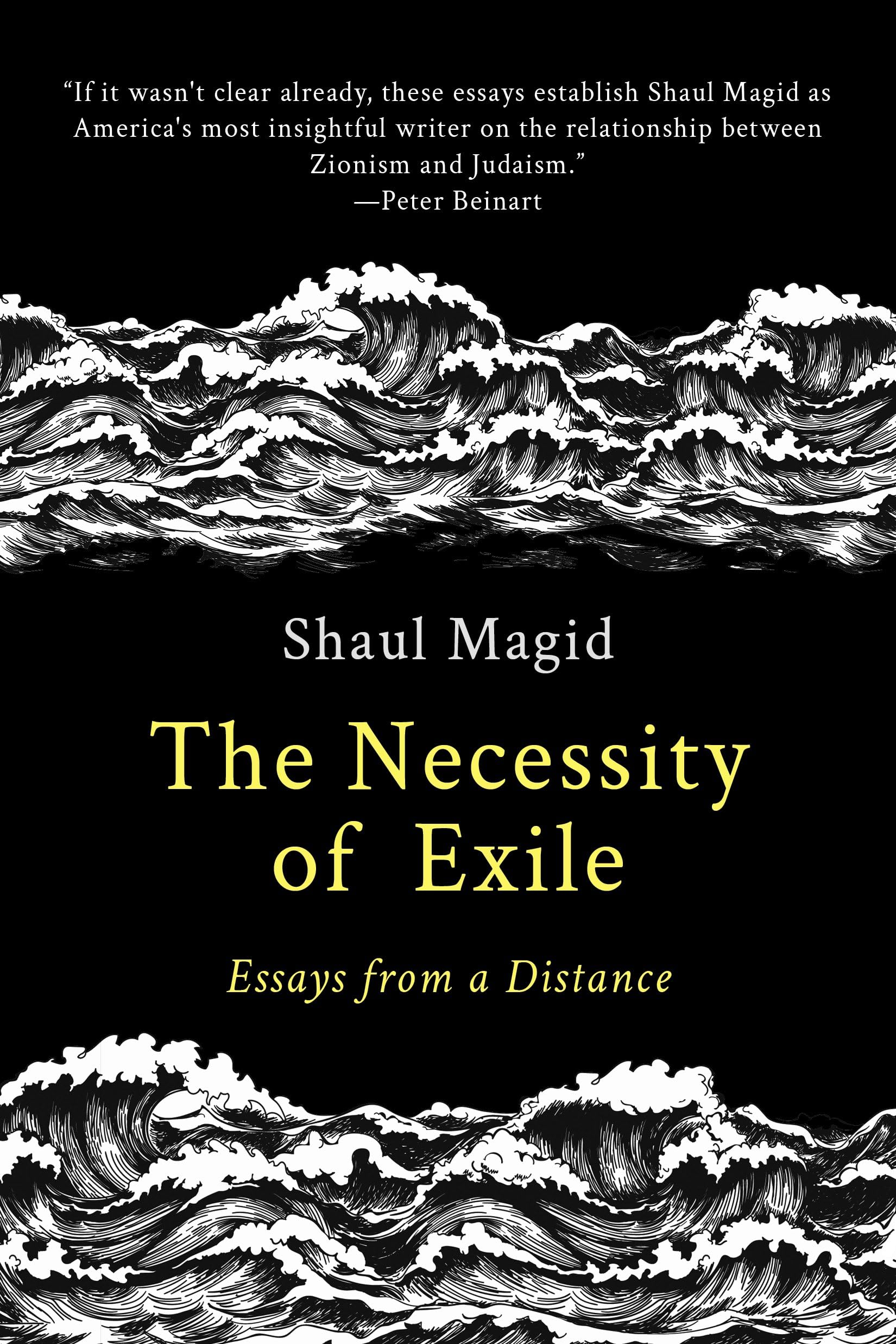 Amazon.com: The Necessity of Exile: Essays from a Distance ...