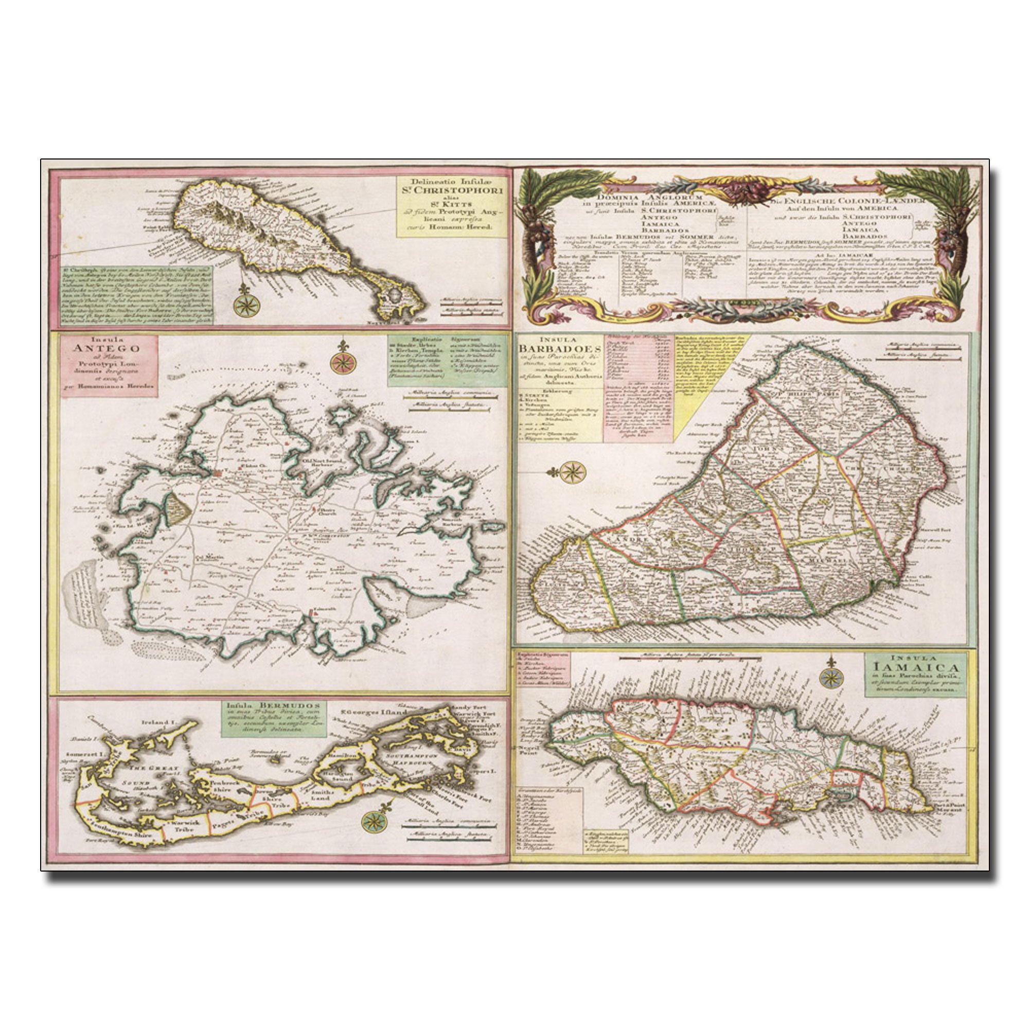 Buy of English Colonies in The Caribbean 1750 by Bridgeman Library work ...