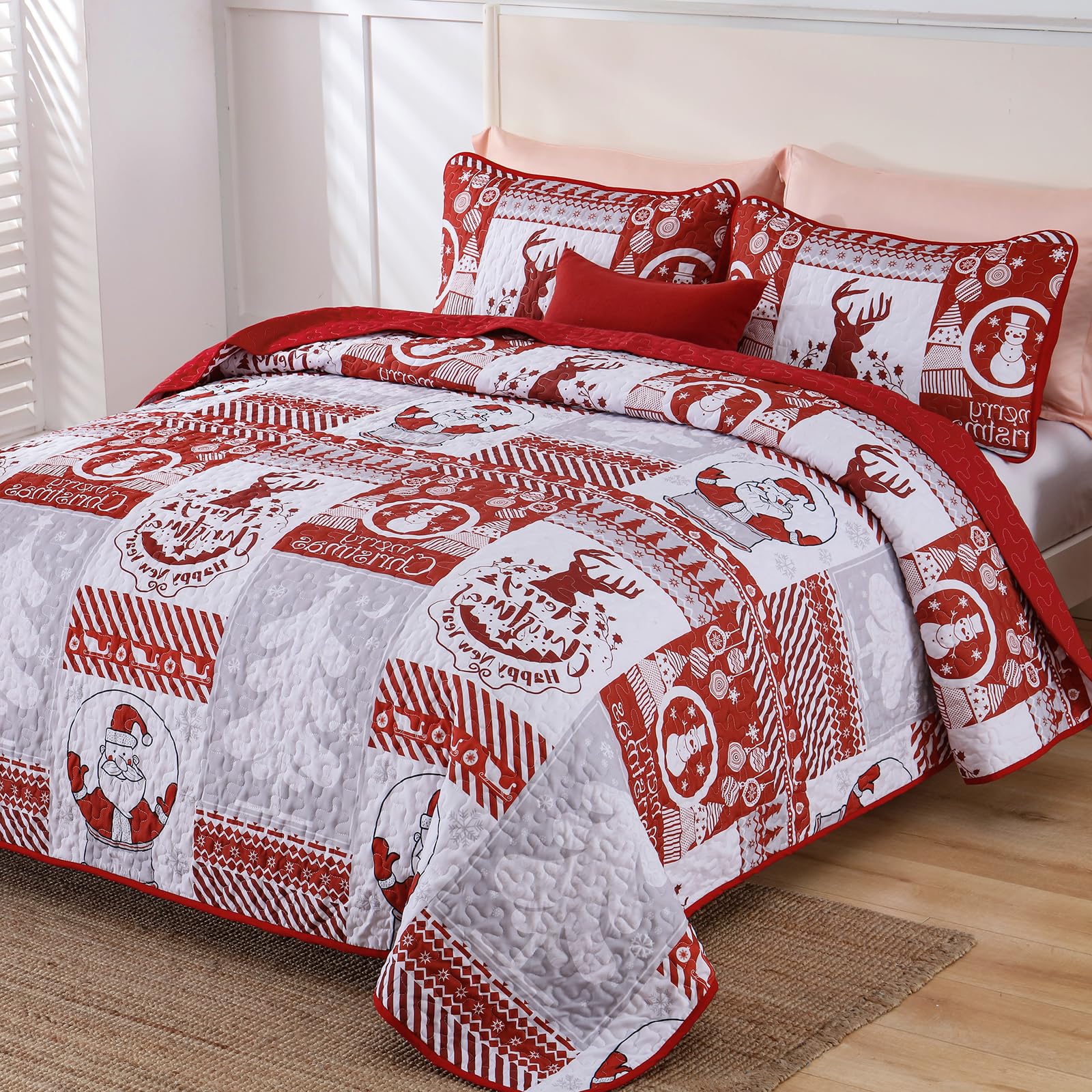 Amazon.com: Christmas Quilt Set Queen Size 3 Pieces,Santa Claus ...