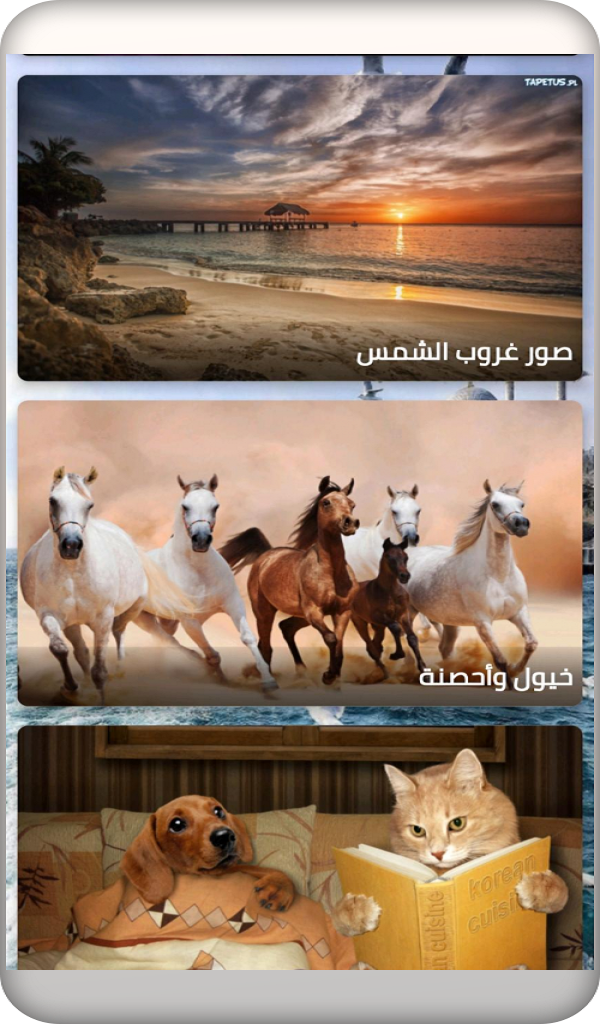 KHALFİYAT - App on Amazon Appstore