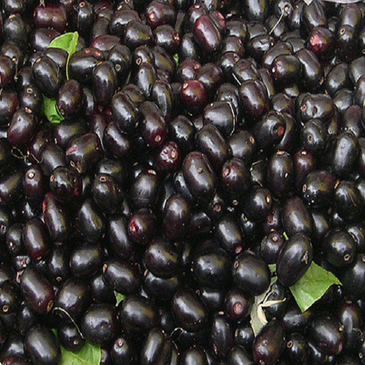 JAMBUL Fruit Application - App on Amazon Appstore