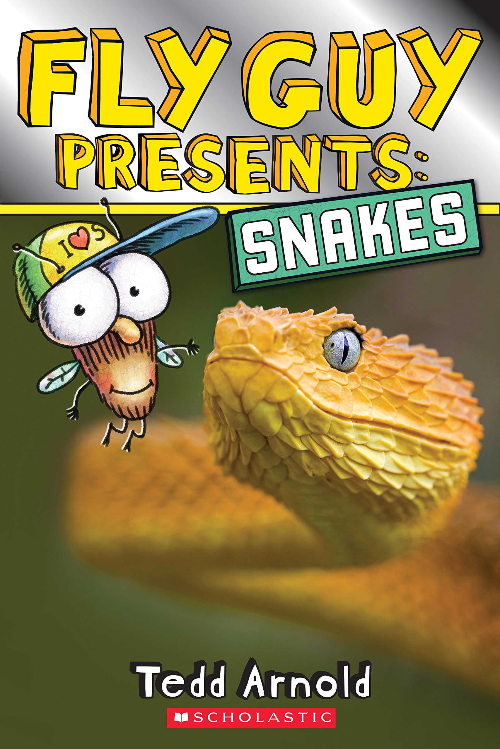 Amazon.com: Fly Guy Presents: Snakes (Scholastic Reader, Level 2 ...