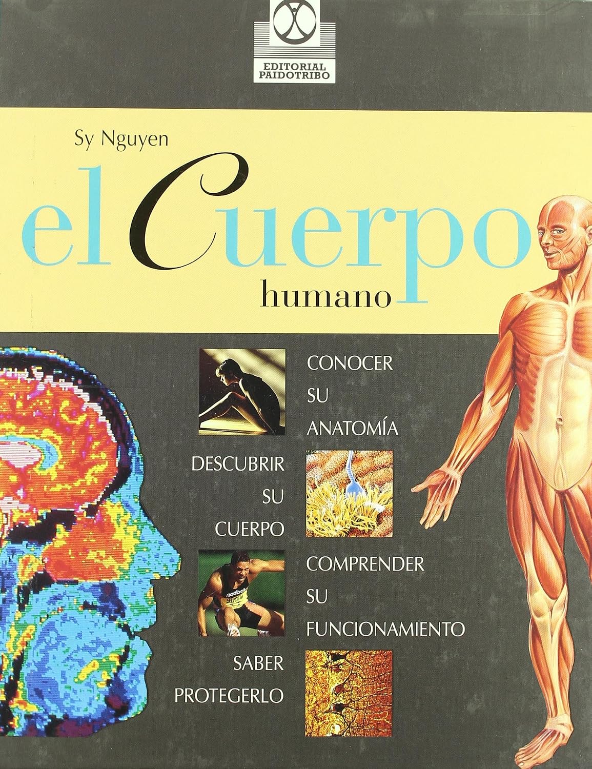 El Cuerpo Humano/the Human Body (Spanish Edition): 9788480193238 ...