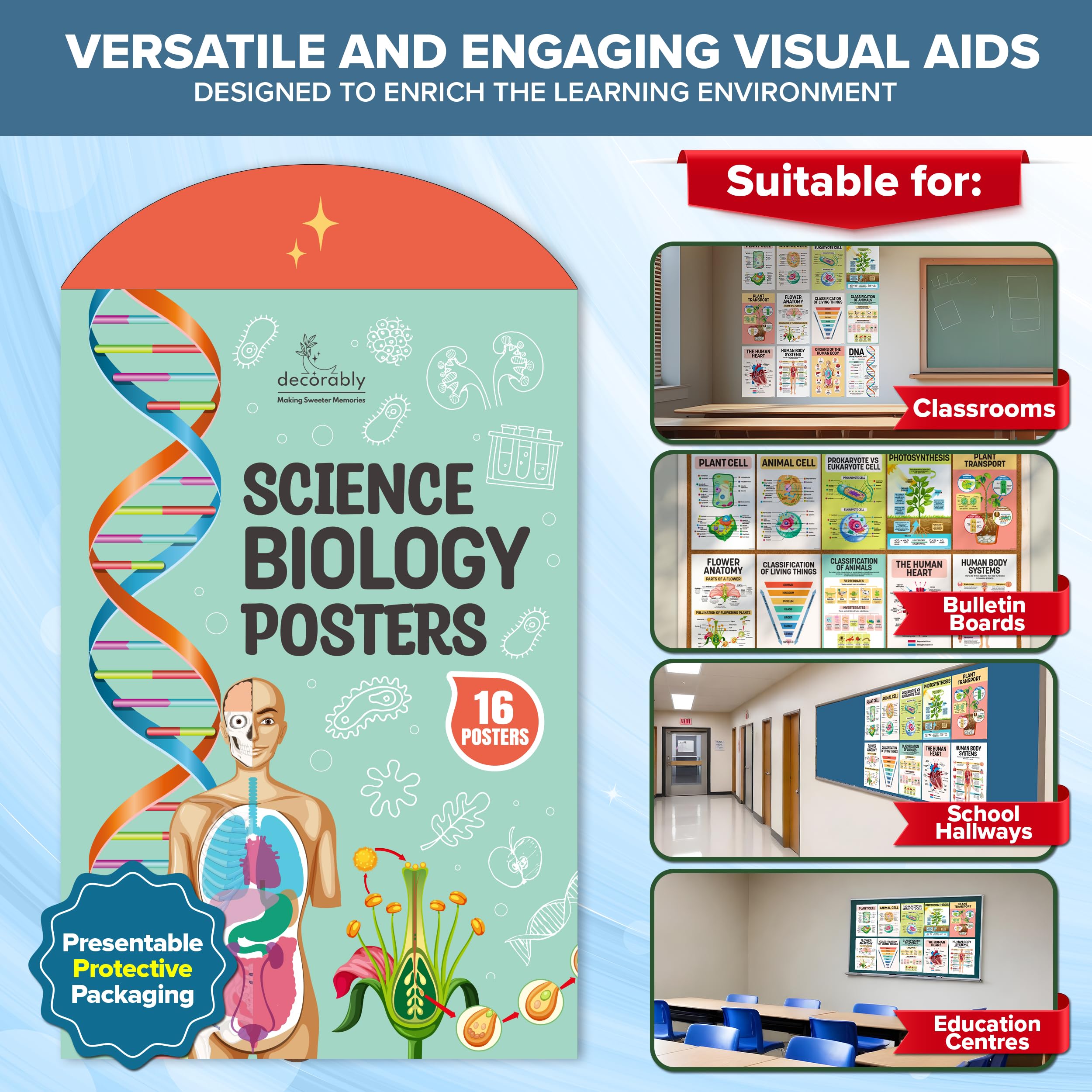 High School Science Classroom Decorations 20 Of The Best Science