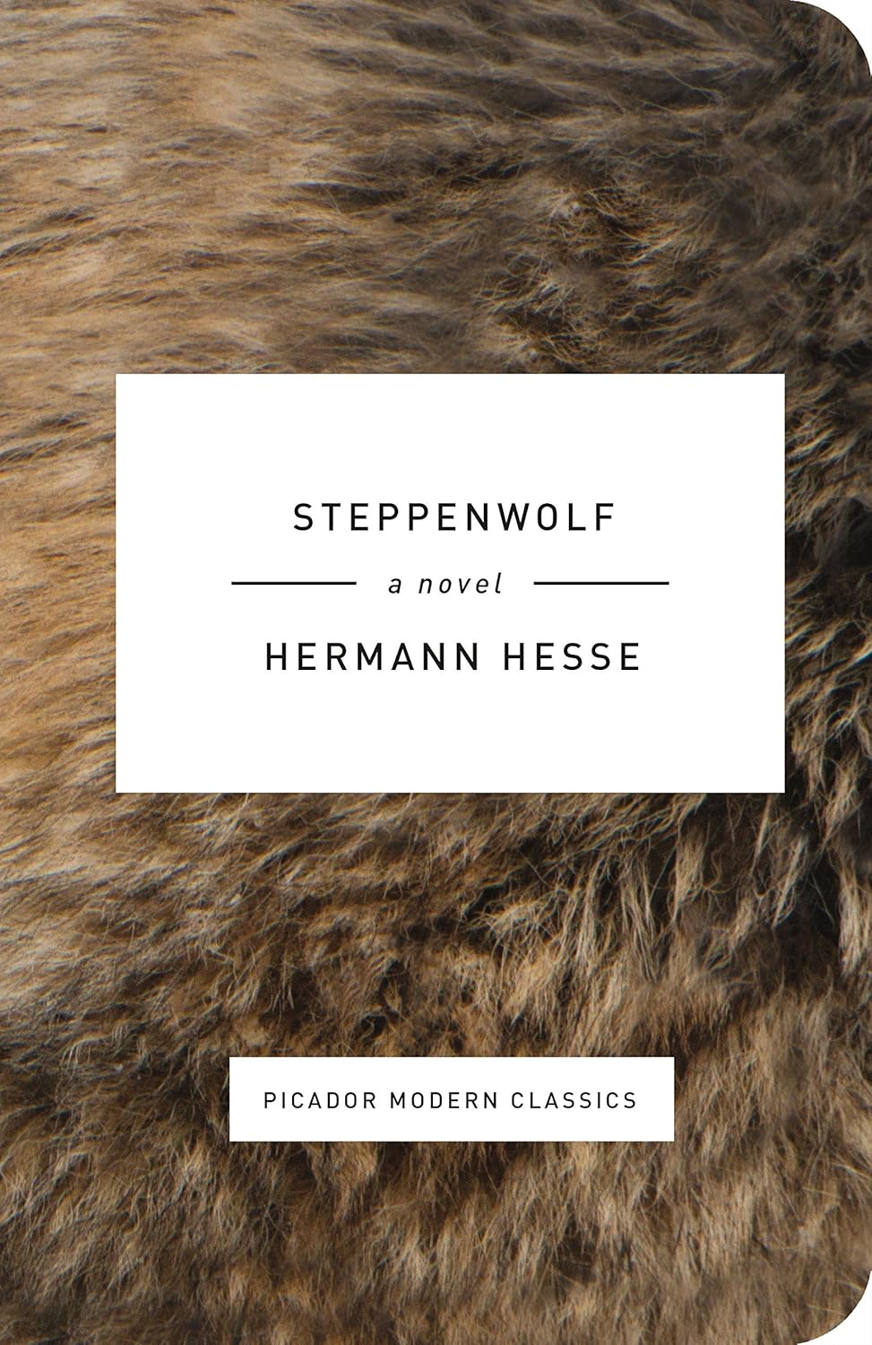 Steppenwolf: A Novel (Picador Modern Classics): Hesse, Hermann ...