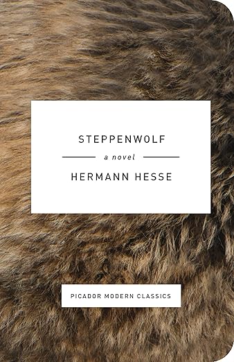Steppenwolf: A Novel (Picador Modern Classics): Hesse, Hermann ...