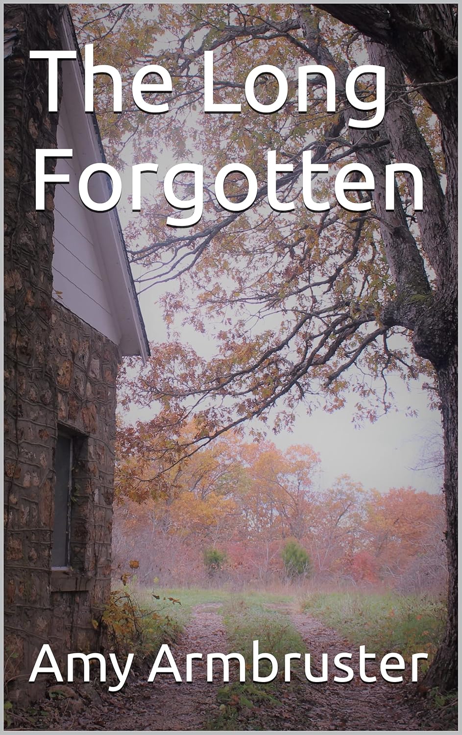 The Long Forgotten - Kindle edition by Armbruster, Amy. Paranormal ...