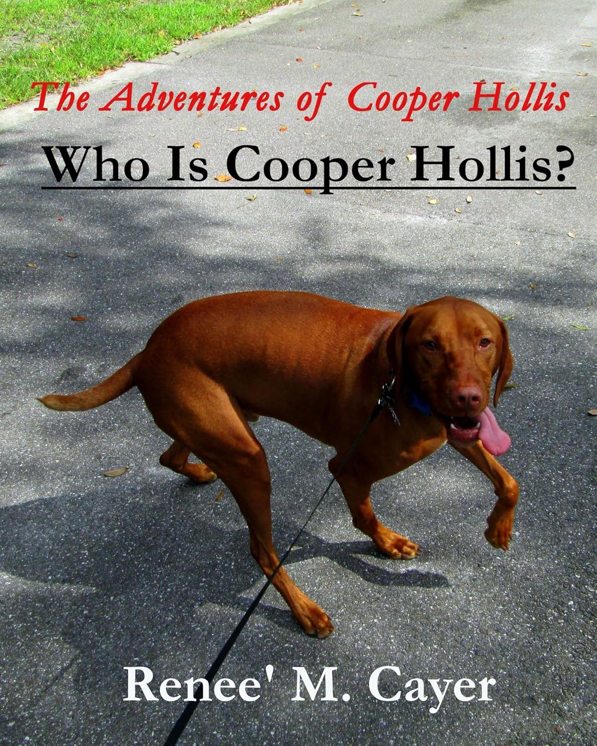 Amazon.com: The Adventures of Cooper Hollis eBook : Cayer, Renee ...