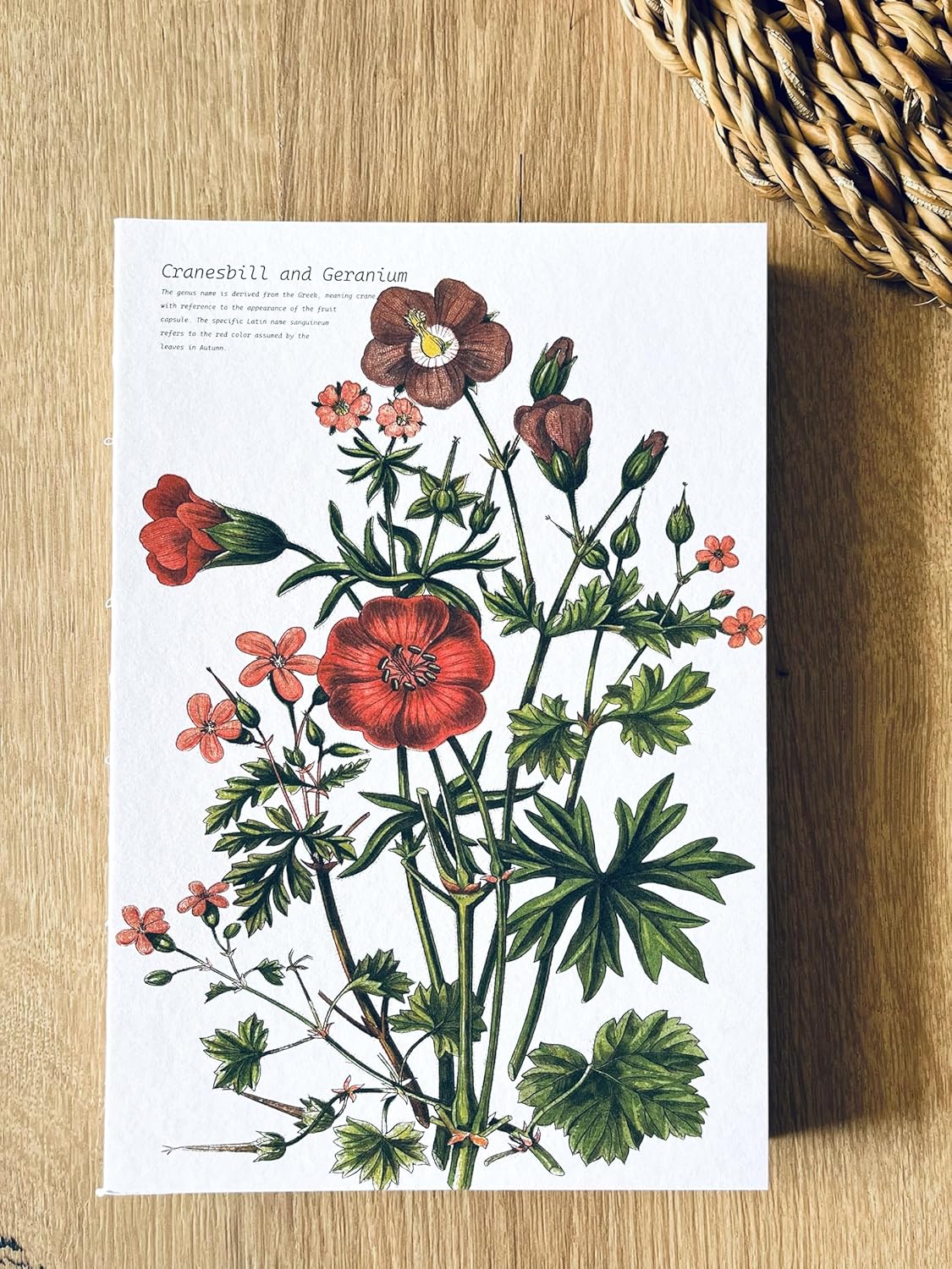 Fark Tanıtım Özel Tasarım Kapaklı A5 Çizgisiz Defter - 180 Derece ...