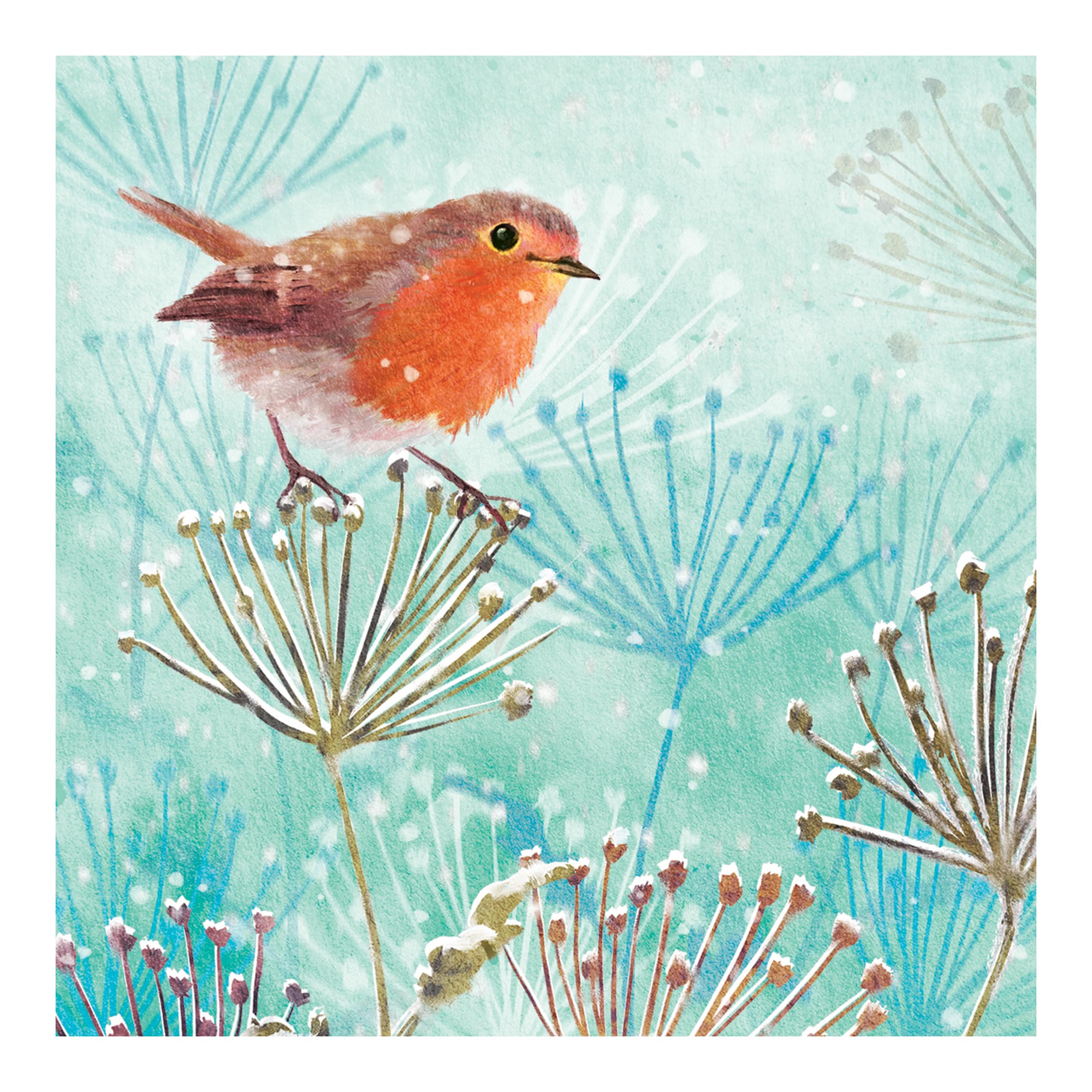 Winter Robin - RSPB Small Square Christmas 10 Card Pack : Amazon.co.uk ...