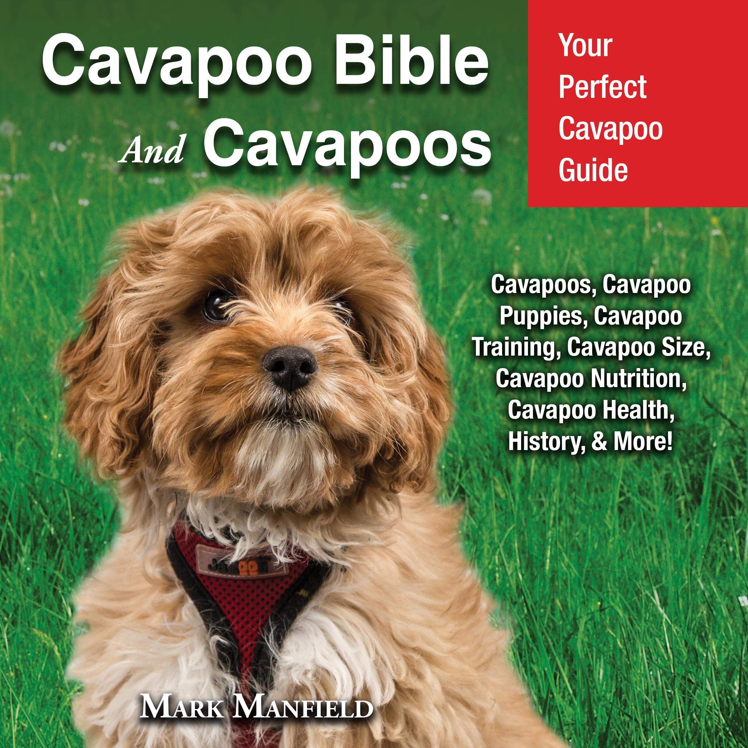 Cavapoo Bible And Cavapoos Your Perfect Cavapoo Guide Cavapoos Cavapoo ...