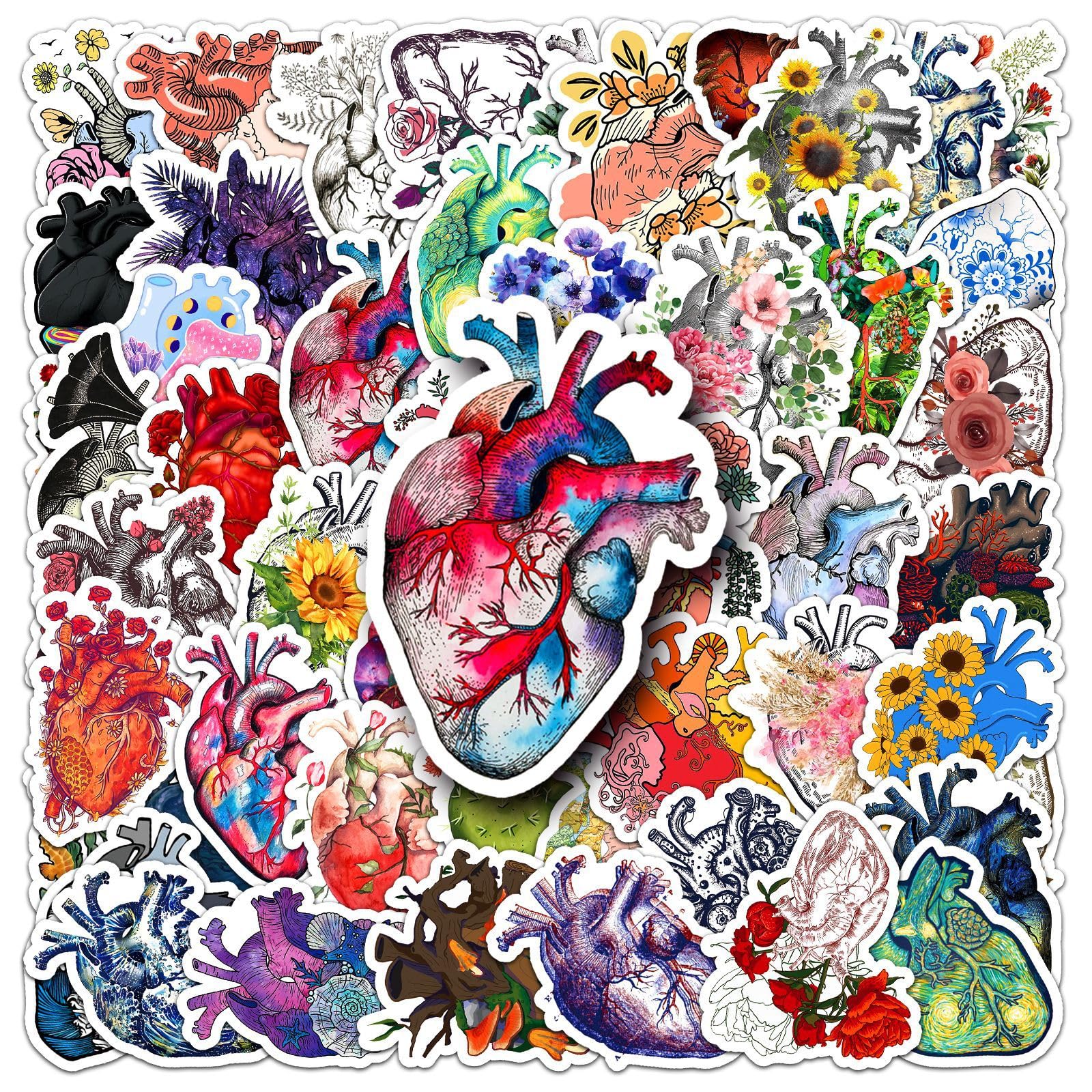 Amazon.com: Heart Stickers 50 Pcs Waterproof Cartoon Anatomical Human ...