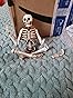 Amazon.com: Ganz Zen Skeleton Figurines in Various Meditation Poses ...