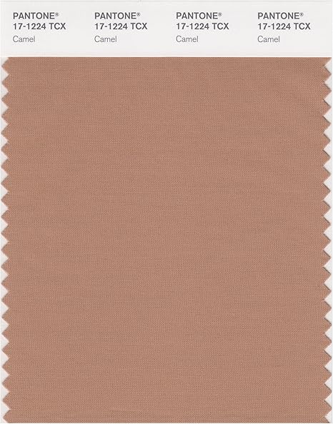 PANTONE Smart 17-1224X Color Swatch Card, Camel - Wall Decor Stickers ...