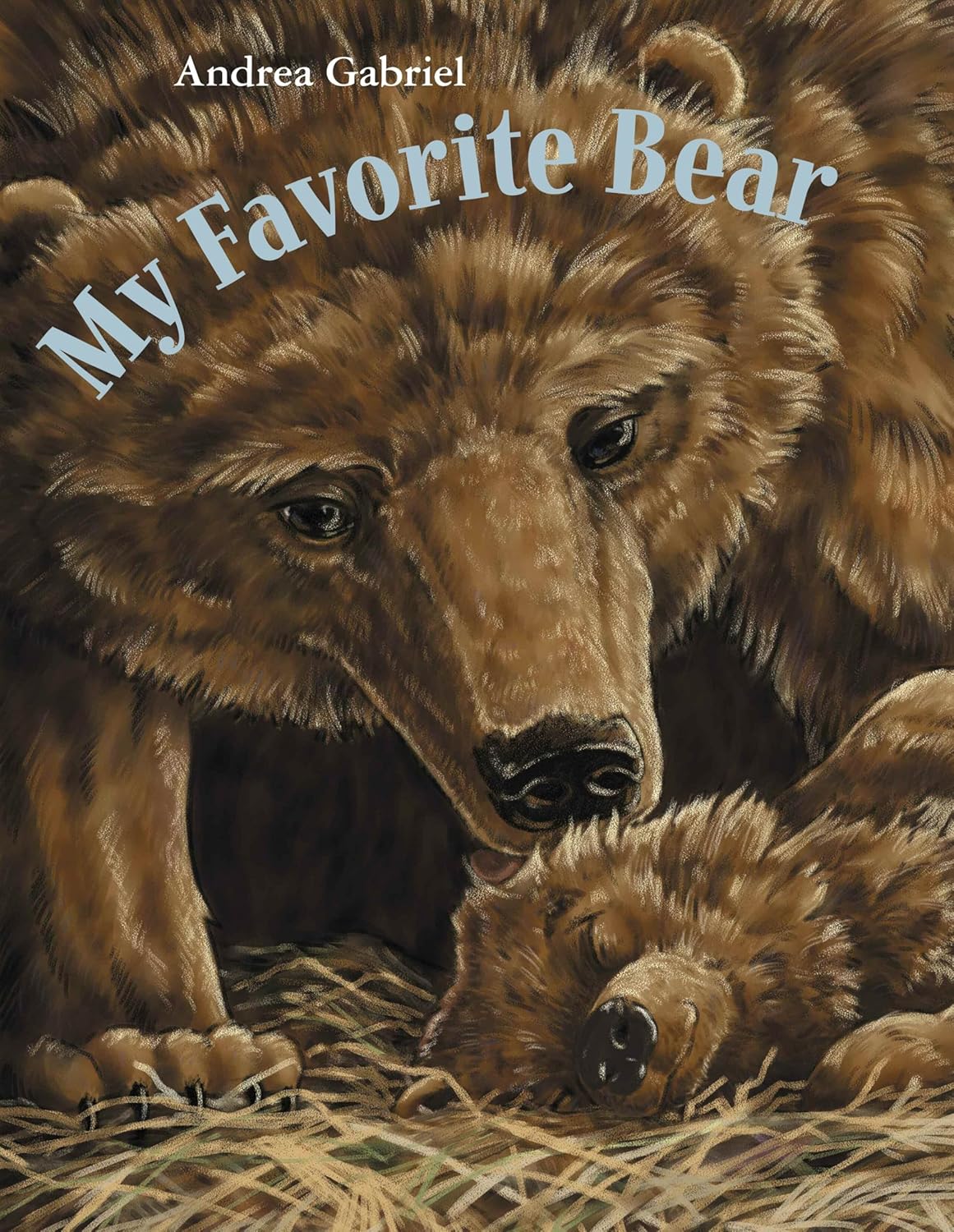 My Favorite Bear: Gabriel, Andrea, Gabriel, Andrea: 9781580890397 ...