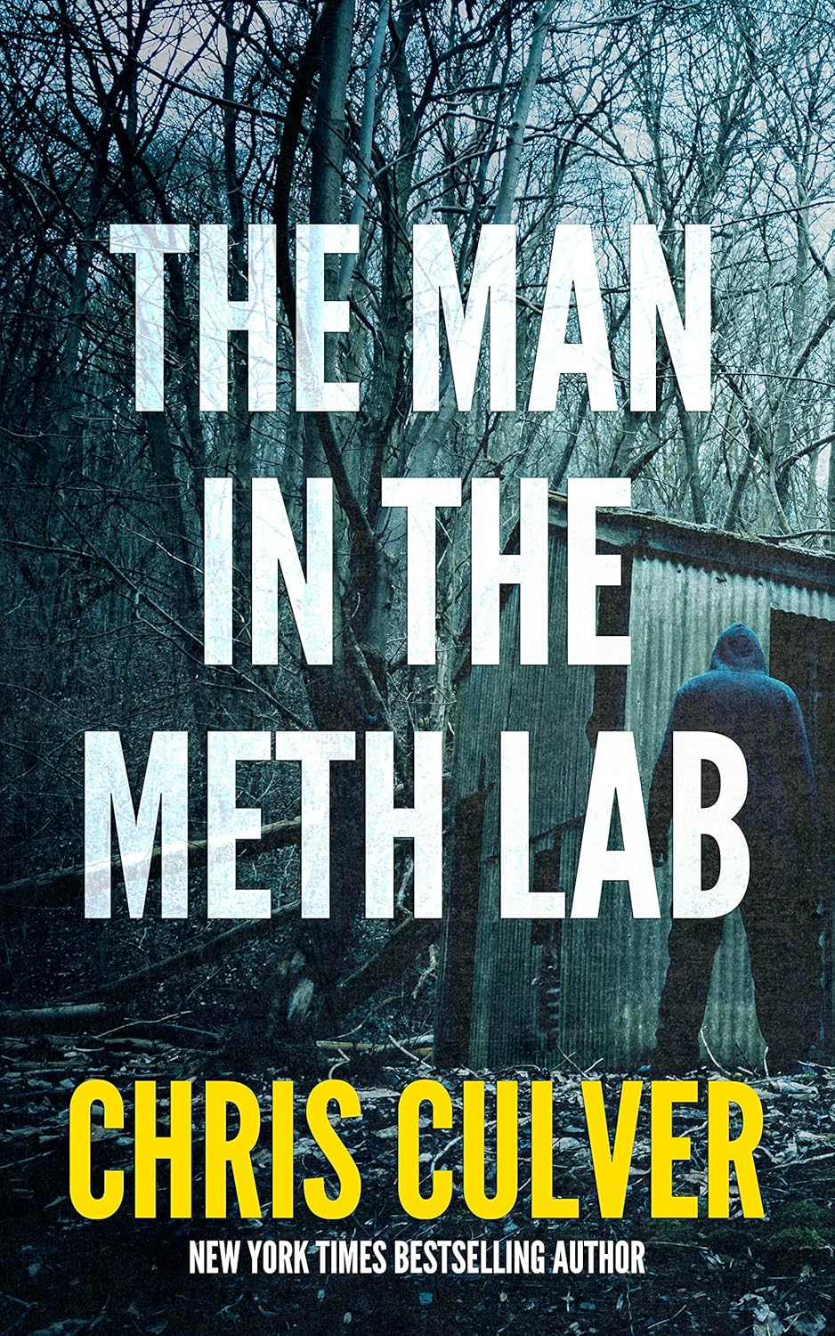 The Man in the Meth Lab (Joe Court Book 4) - Kindle edition by Culver ...
