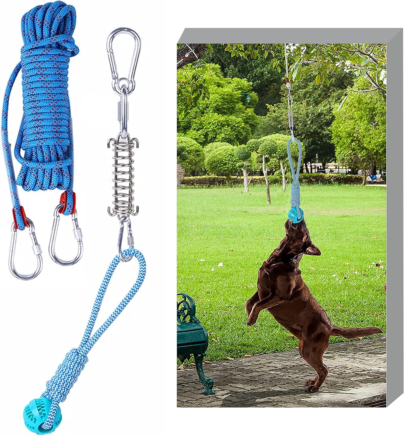 Pet Supplies : Interactive Dog Toys - Dog Bungee Tug Toy - Spring Pole ...