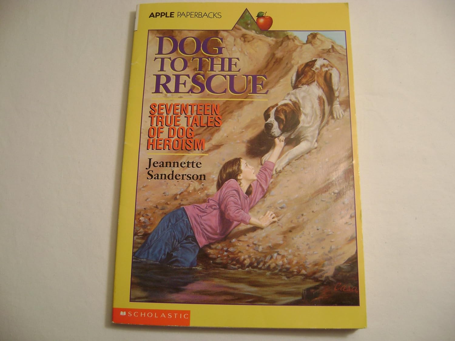 Dog to the Rescue: Seventeen True Tales of Dog Heroism: Sanderson ...