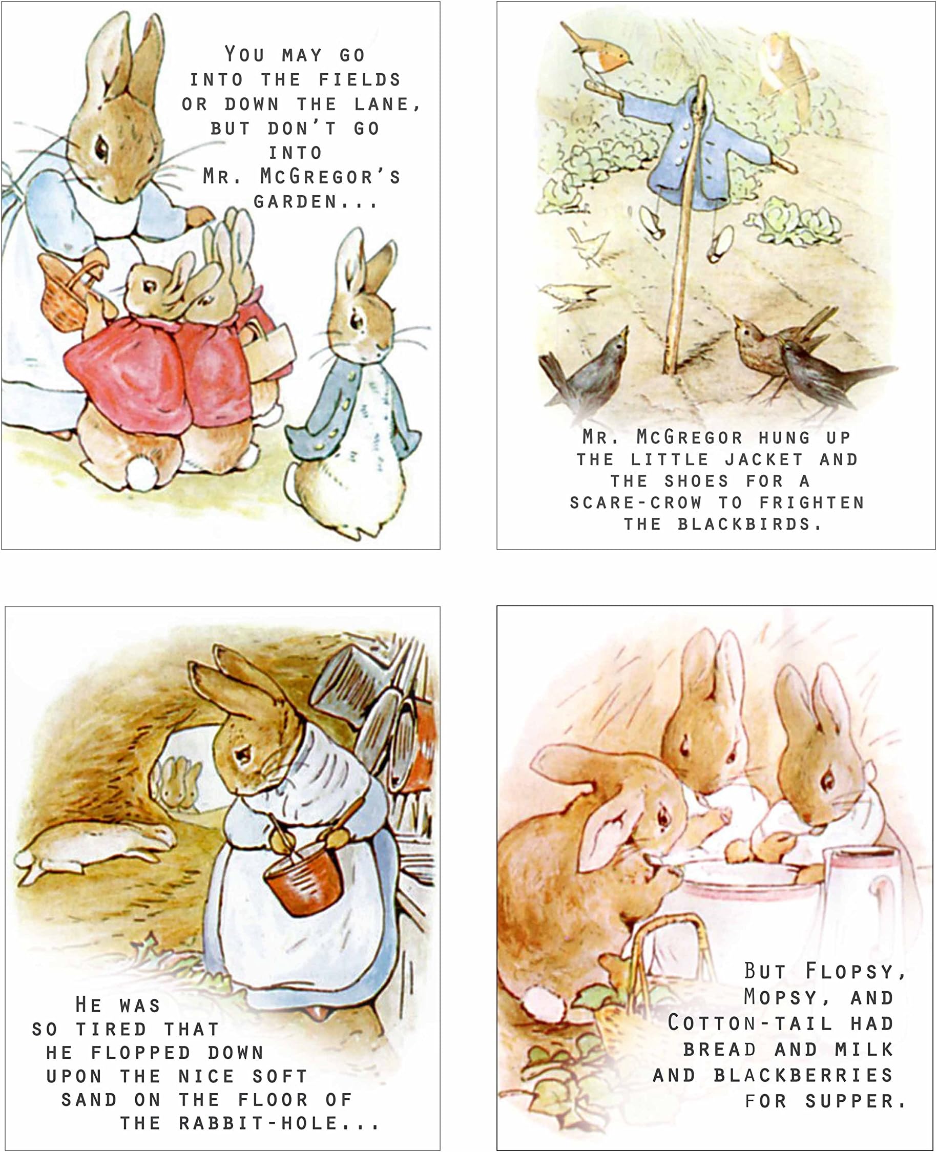 Amazon.com: Beatrix Potter Peter Rabbit, Vintage Art Print Reproduction ...