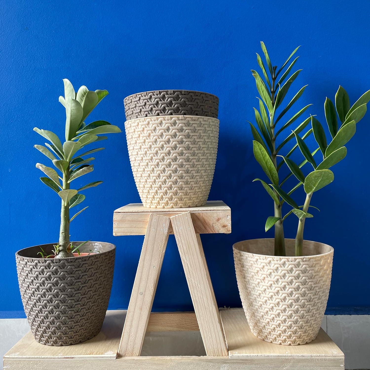 GARDEN ERA Combo of 4 Decorative Plastic Planters for Home & Garden ...