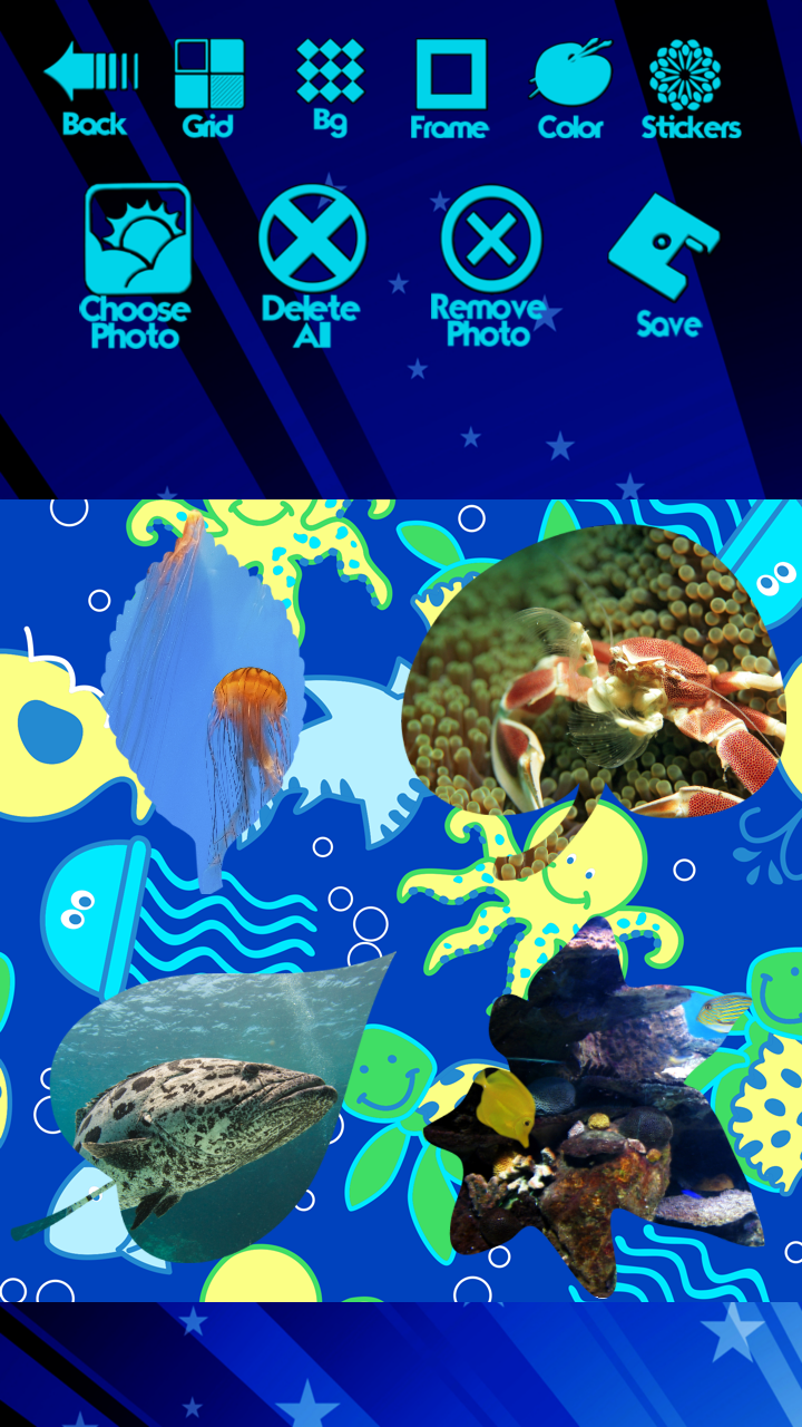 Sea Creatures Collage - App on Amazon Appstore