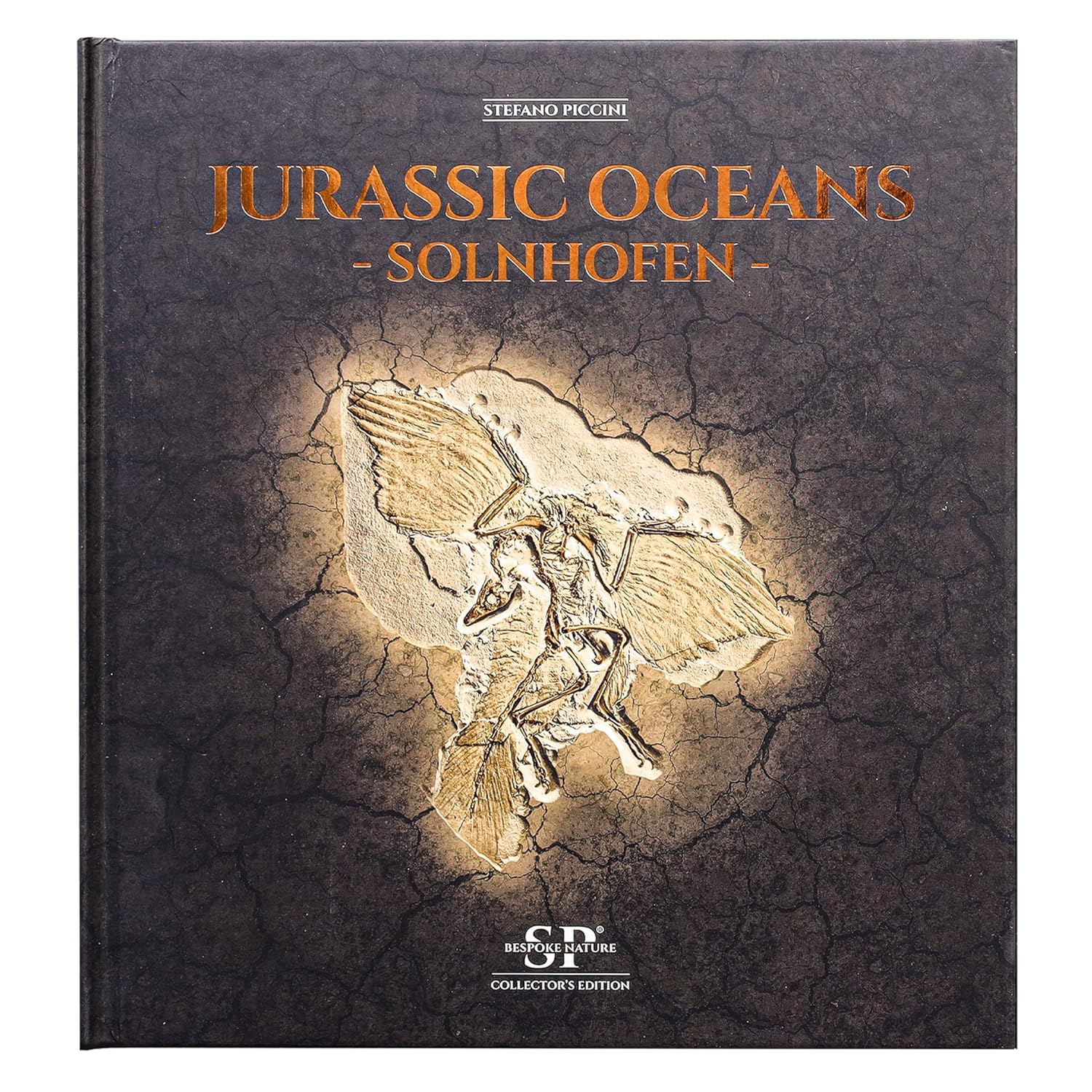 Jurassic Oceans - Solnhofen - Stefano Piccini Bespoke Nature Collector ...