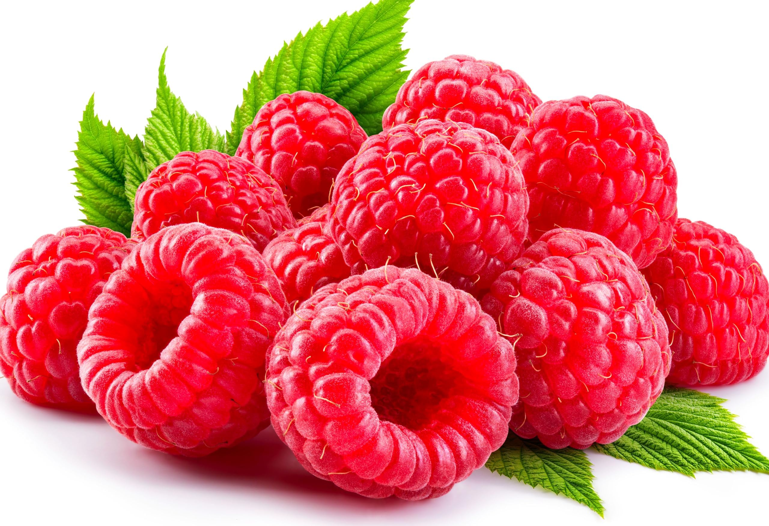 Amazon.com : 100+ Red Raspberry Seeds: Grow Delicious Heirloom Berries ...