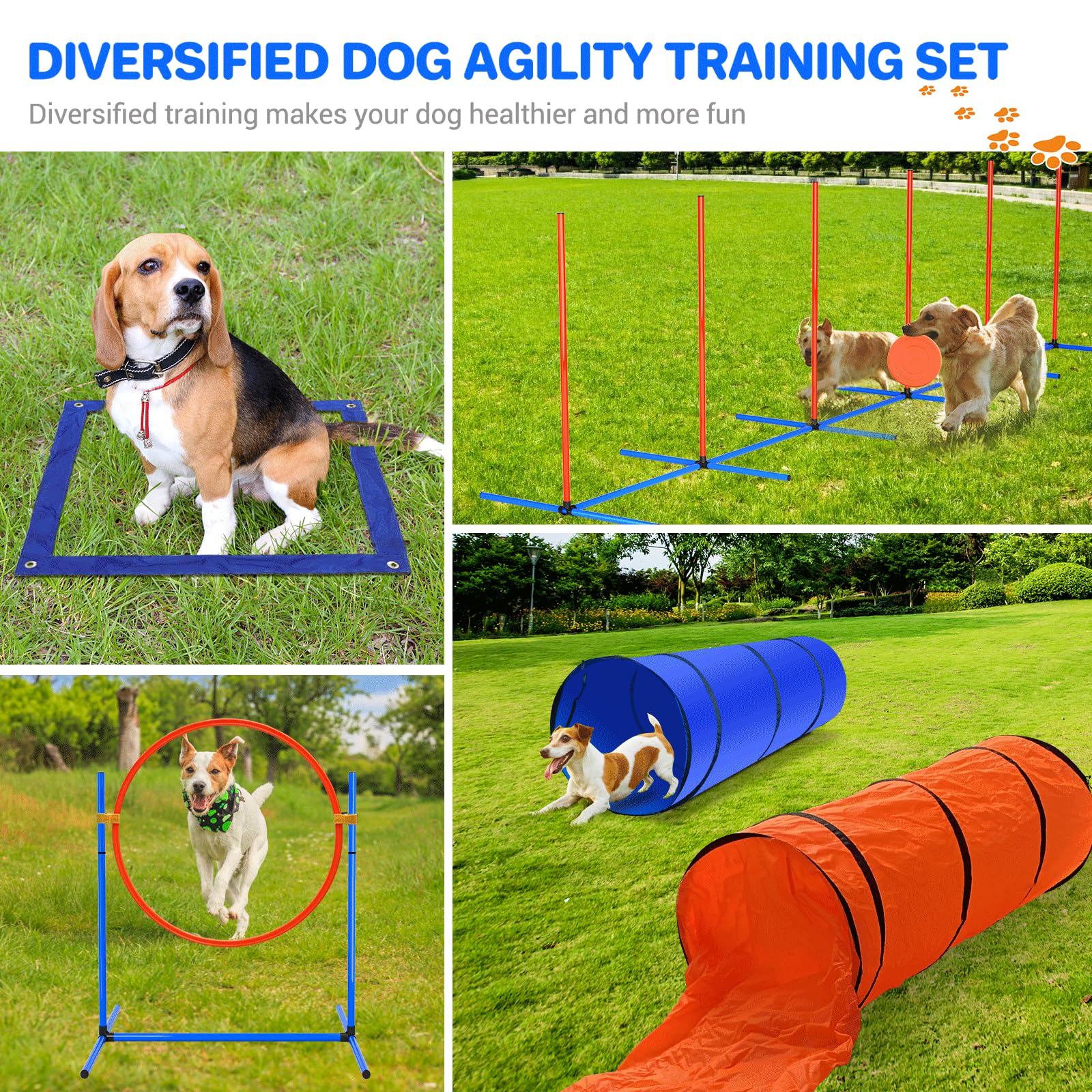 Snapklik.com : IKARE Dog Agility Training Equipment Pet Obstacle Course ...