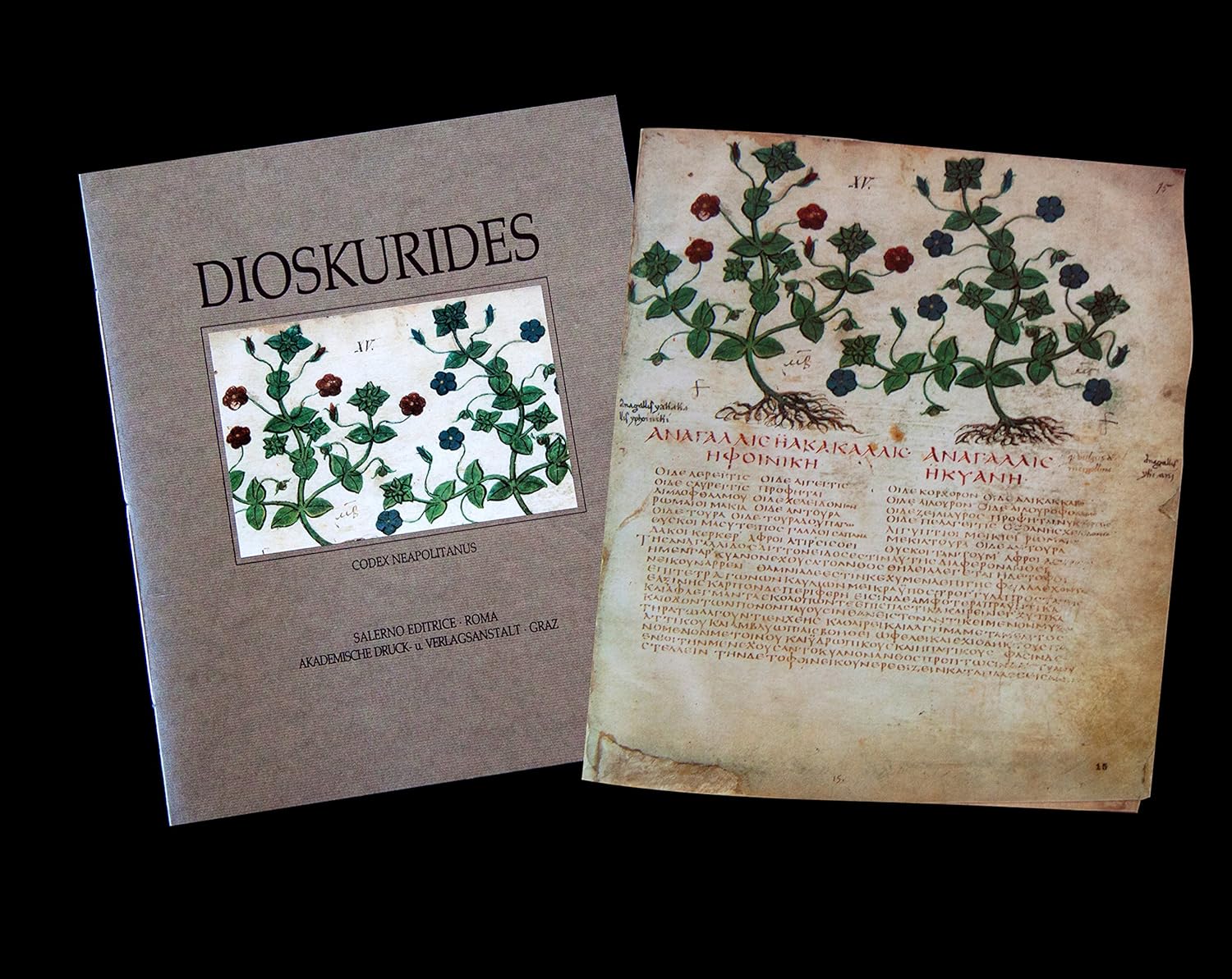 Dioskurides. Codex Neapolitanus (Napoli, Biblioteca Nazionale, Ms. ex ...