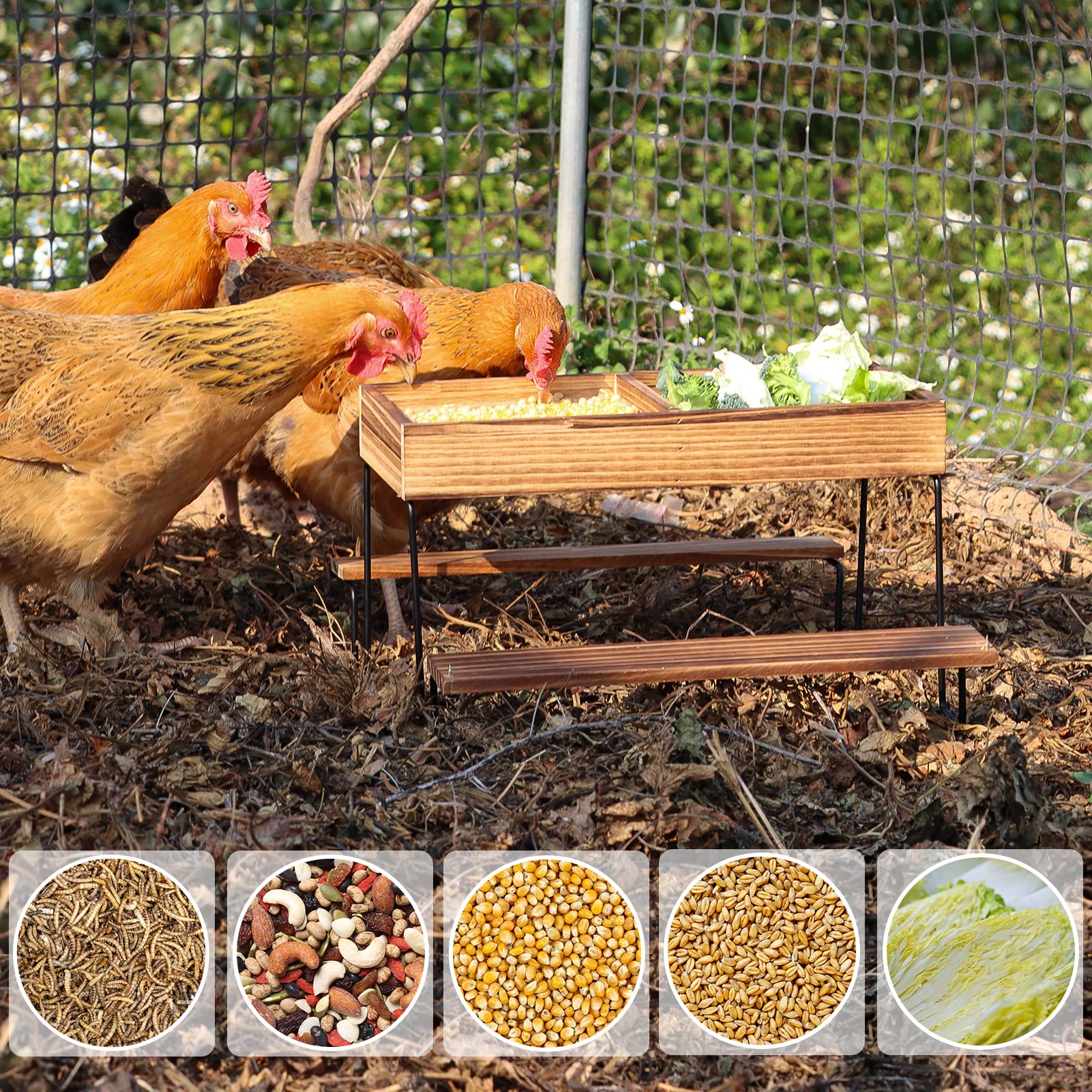 Chicken Feeder Table, Squirrel Feeder, Bird Feeder, Chicken Coop ...