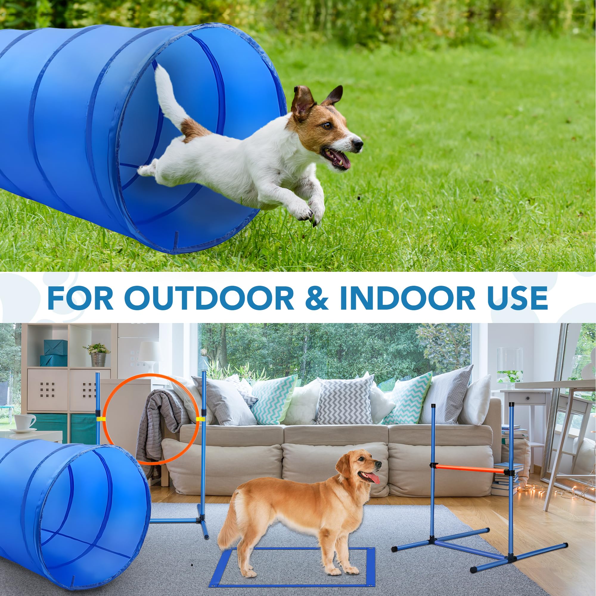 Snapklik.com : Rengue Dog Agility Training Equipment Set, Multi ...