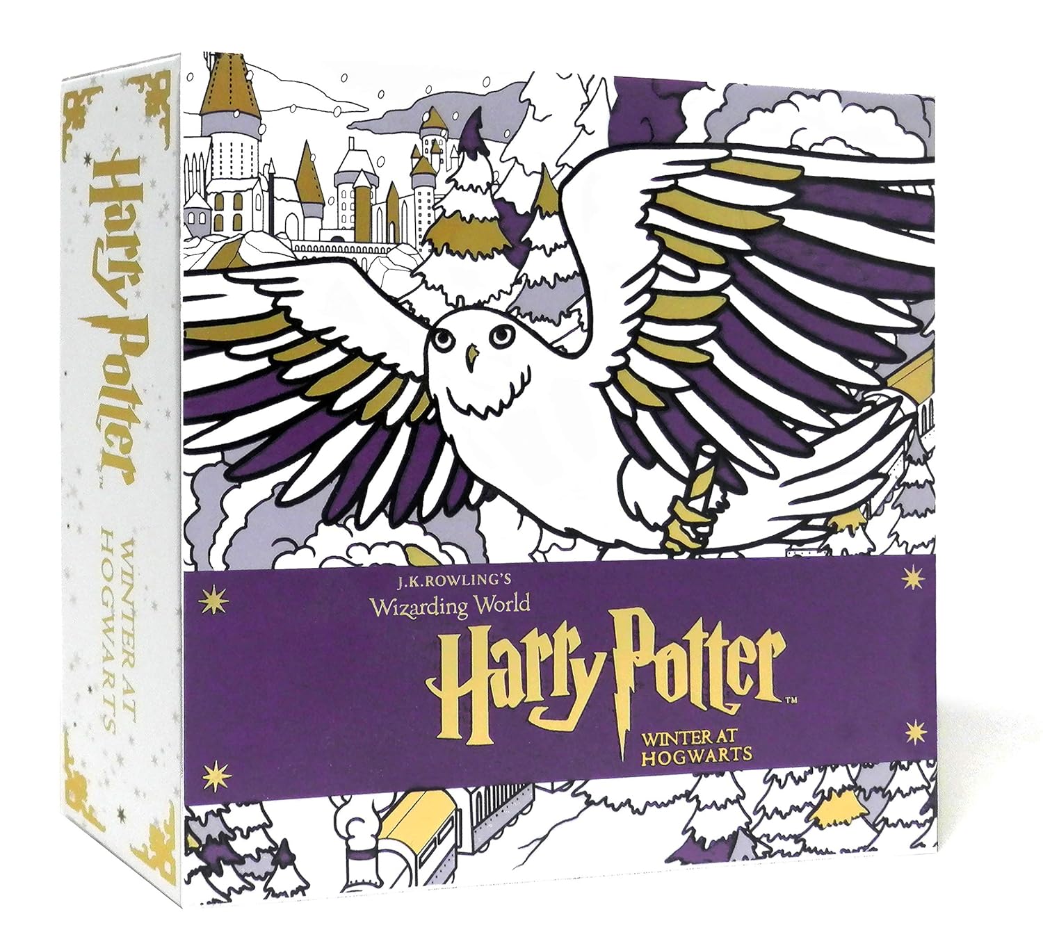 Harry Potter: Winter At Hogwarts - A Magical Colouring Set (J.K ...