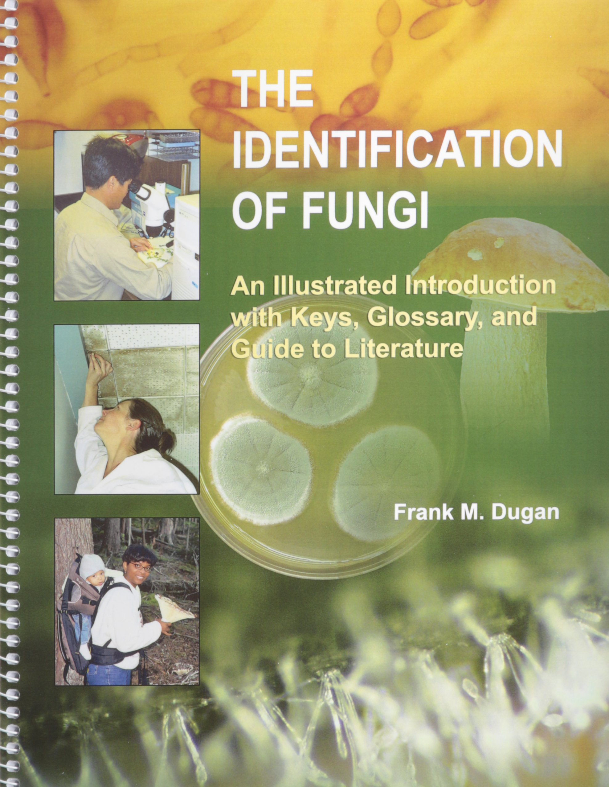 Amazon.com: The Identification of Fungi: An Illustrated Introduction ...