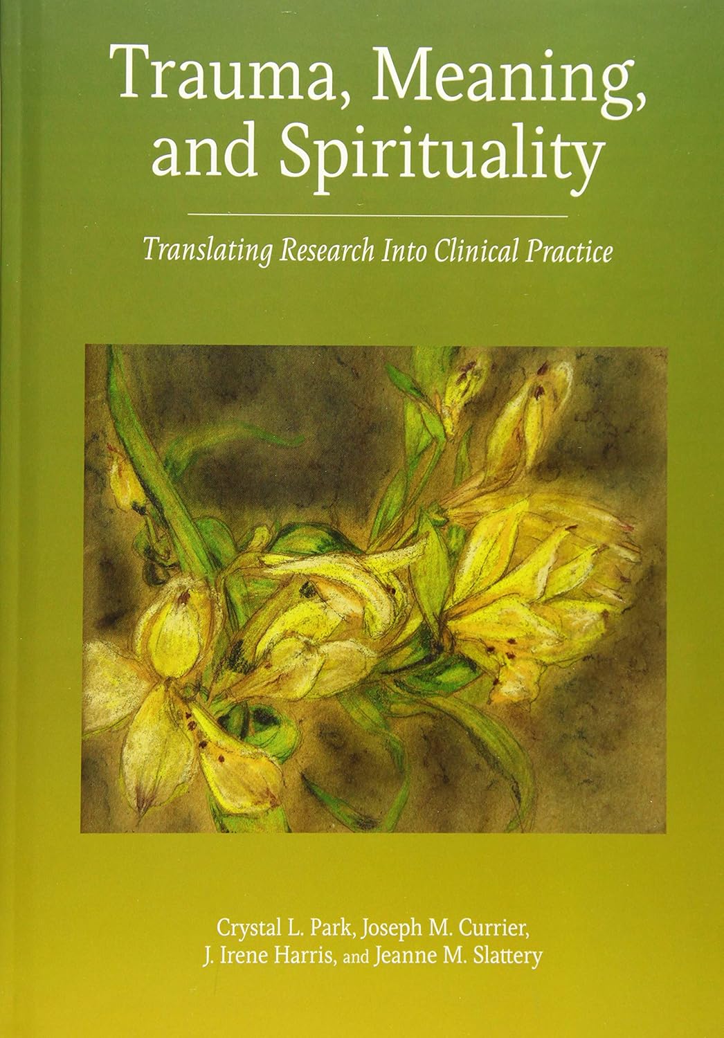 Trauma, Meaning, and Spirituality: Translating Research into Clinical ...