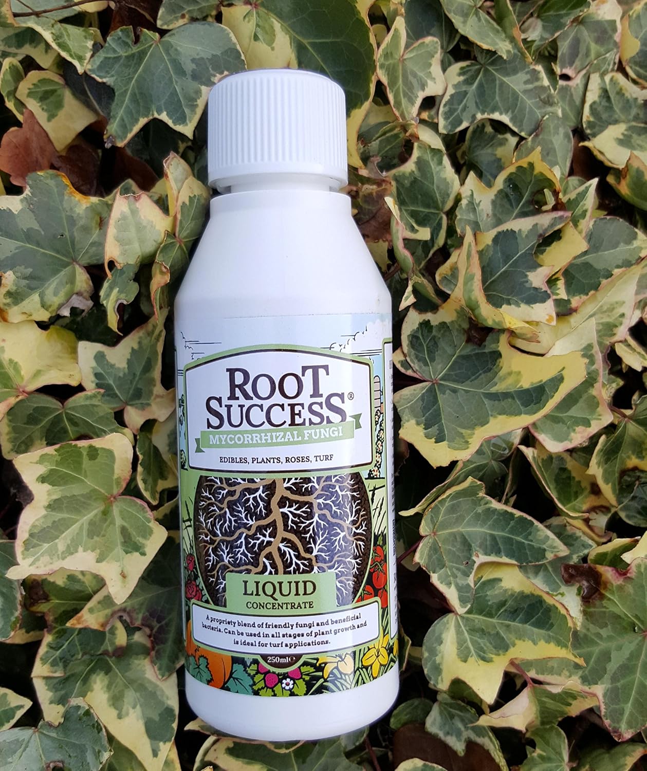 Root Success Mycorrhizal Fungi for Lawns : Amazon.co.uk: Garden